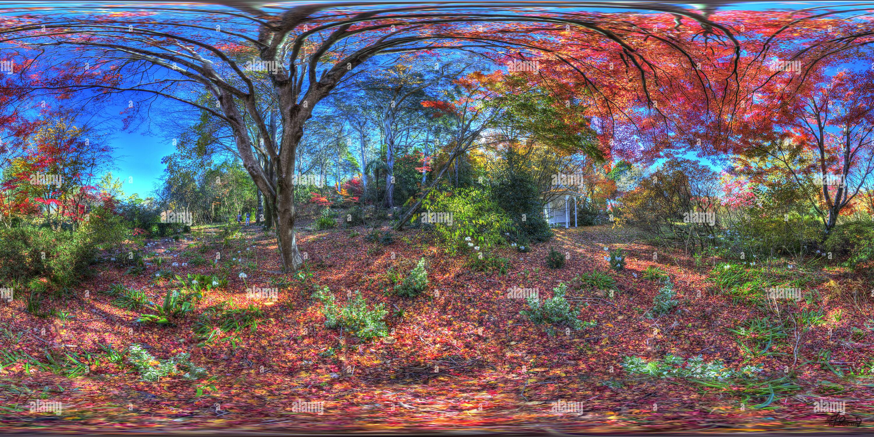 360° view of Mt Wilson Autumn - series 2 of 3 - Alamy