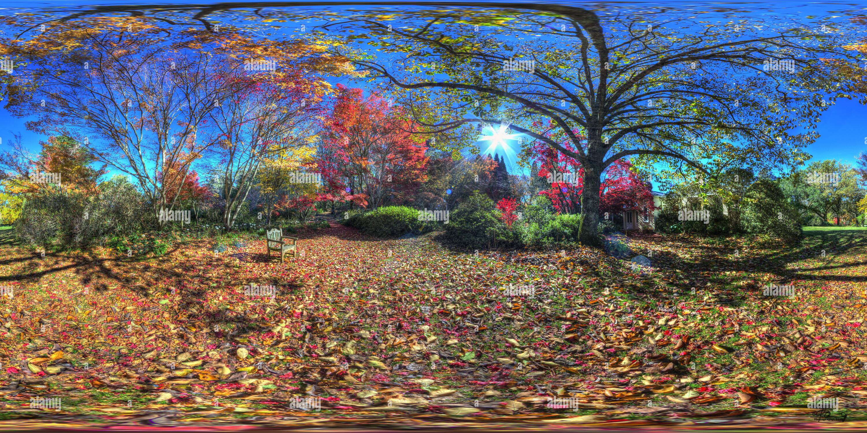 360° view of Mt Wilson Autumn - series 3 of 3 - Alamy