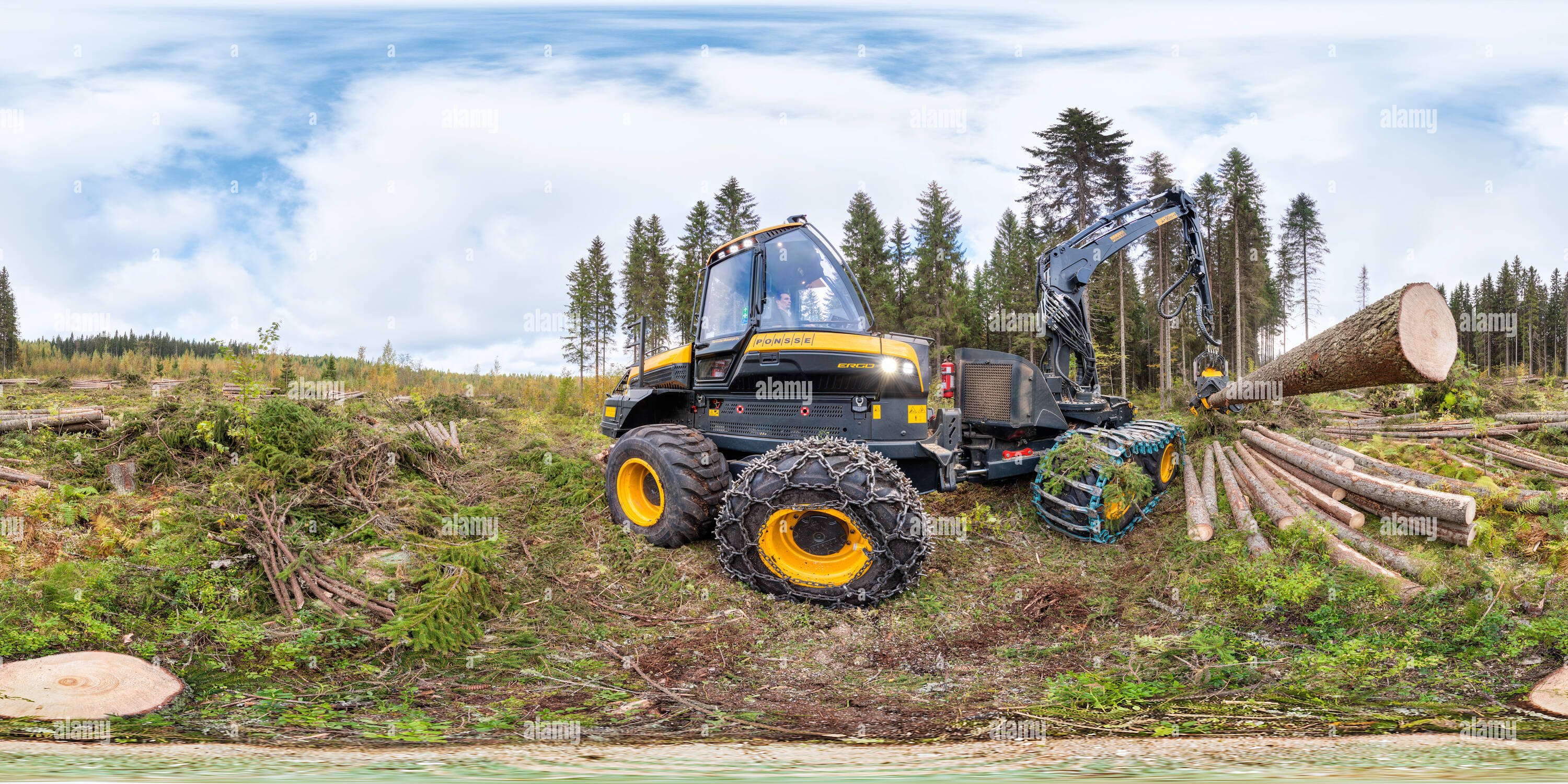 Ponsse hi-res stock photography and images - Alamy