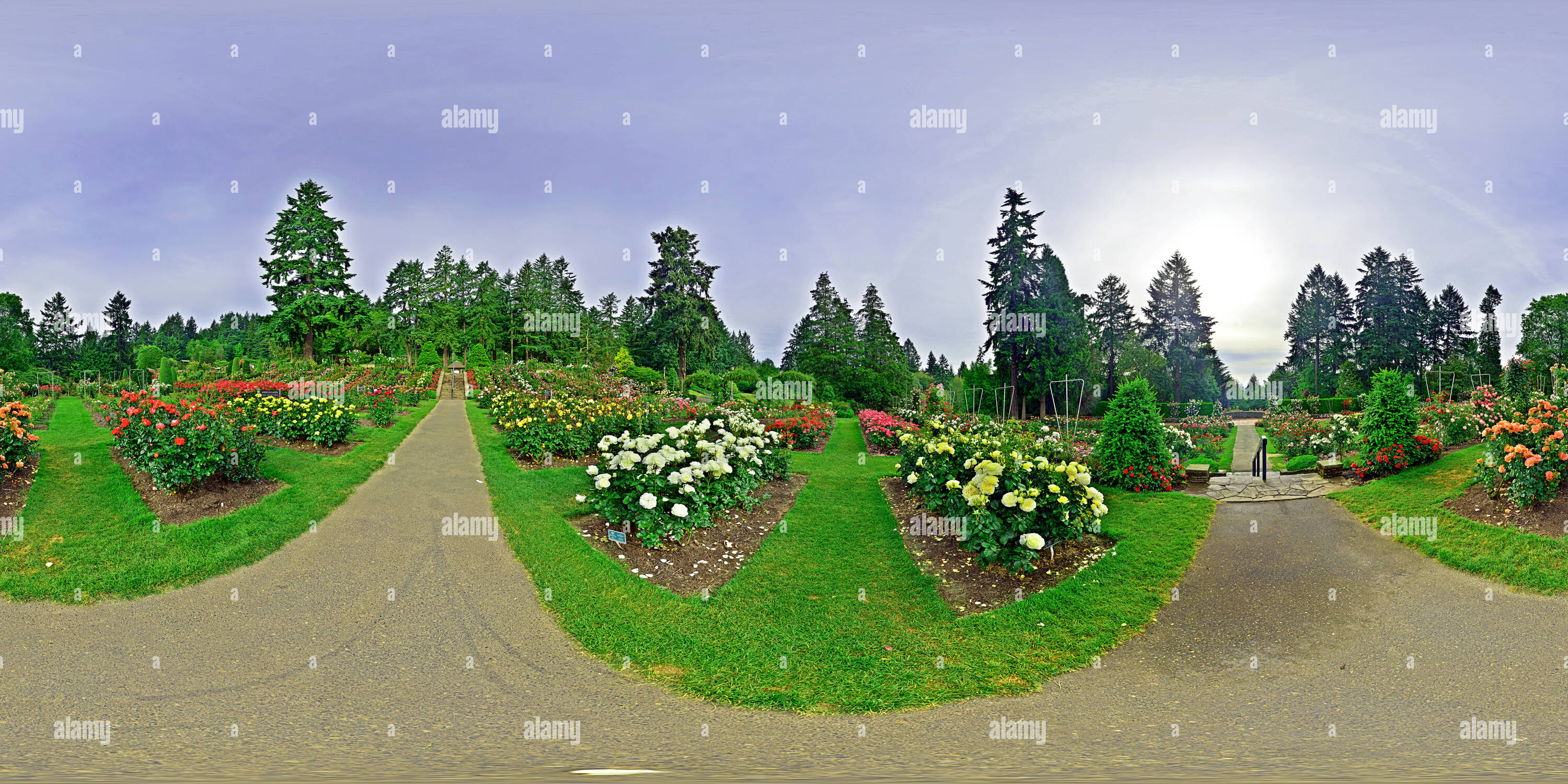360° view of International Rose Test Garden 3 - Alamy