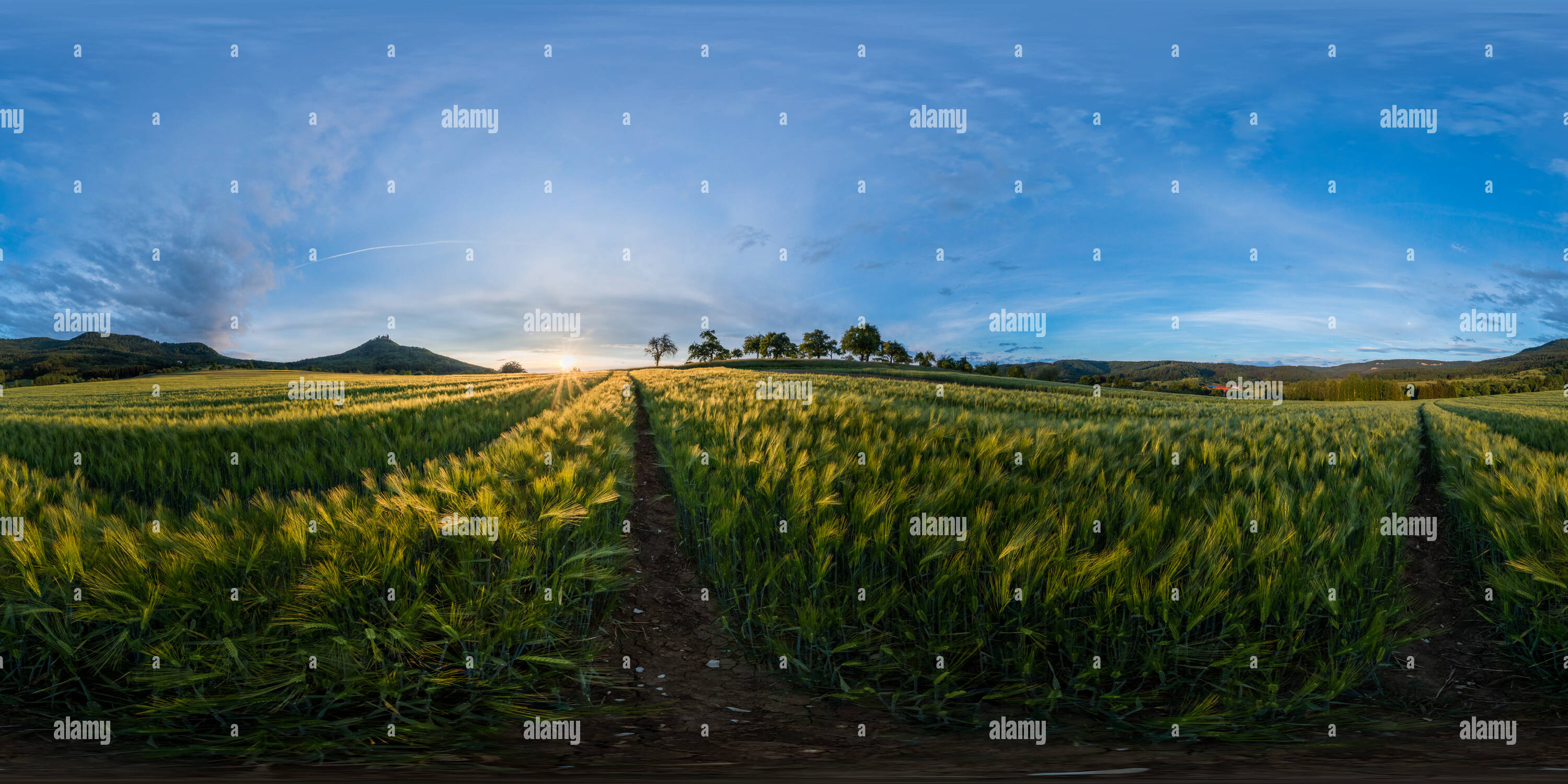 360° view of Sunset over barley field - Hohenzollern, Hechingen ...