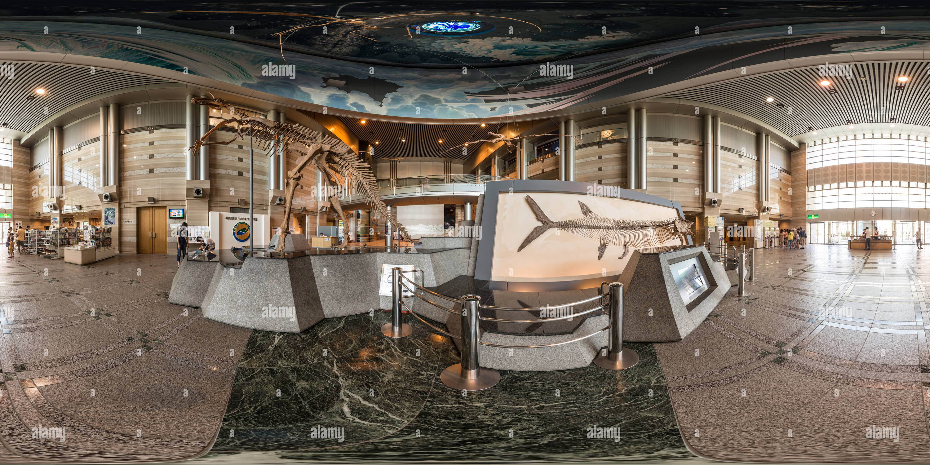 360° view of Entrance of the Museum - Alamy