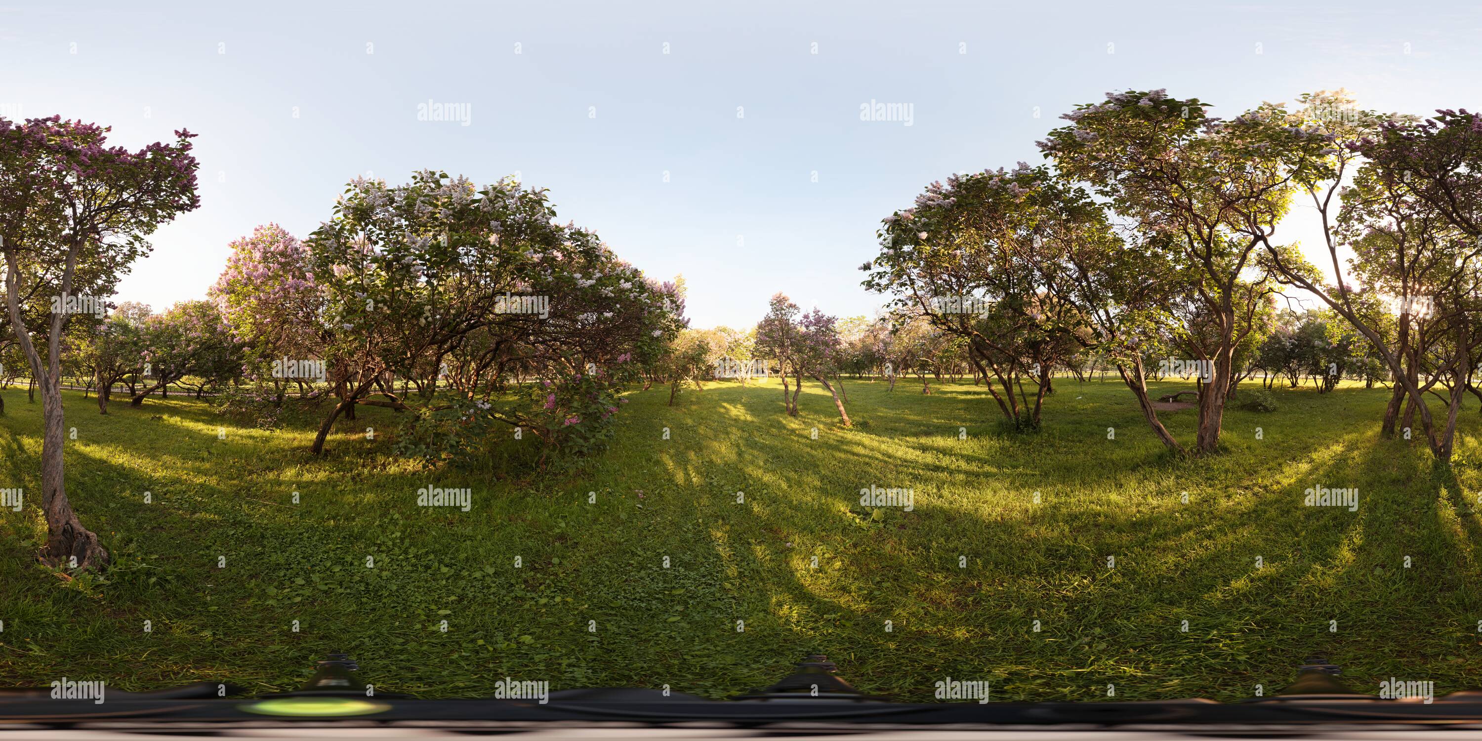 360° view of Lilac Garden 3 - Alamy