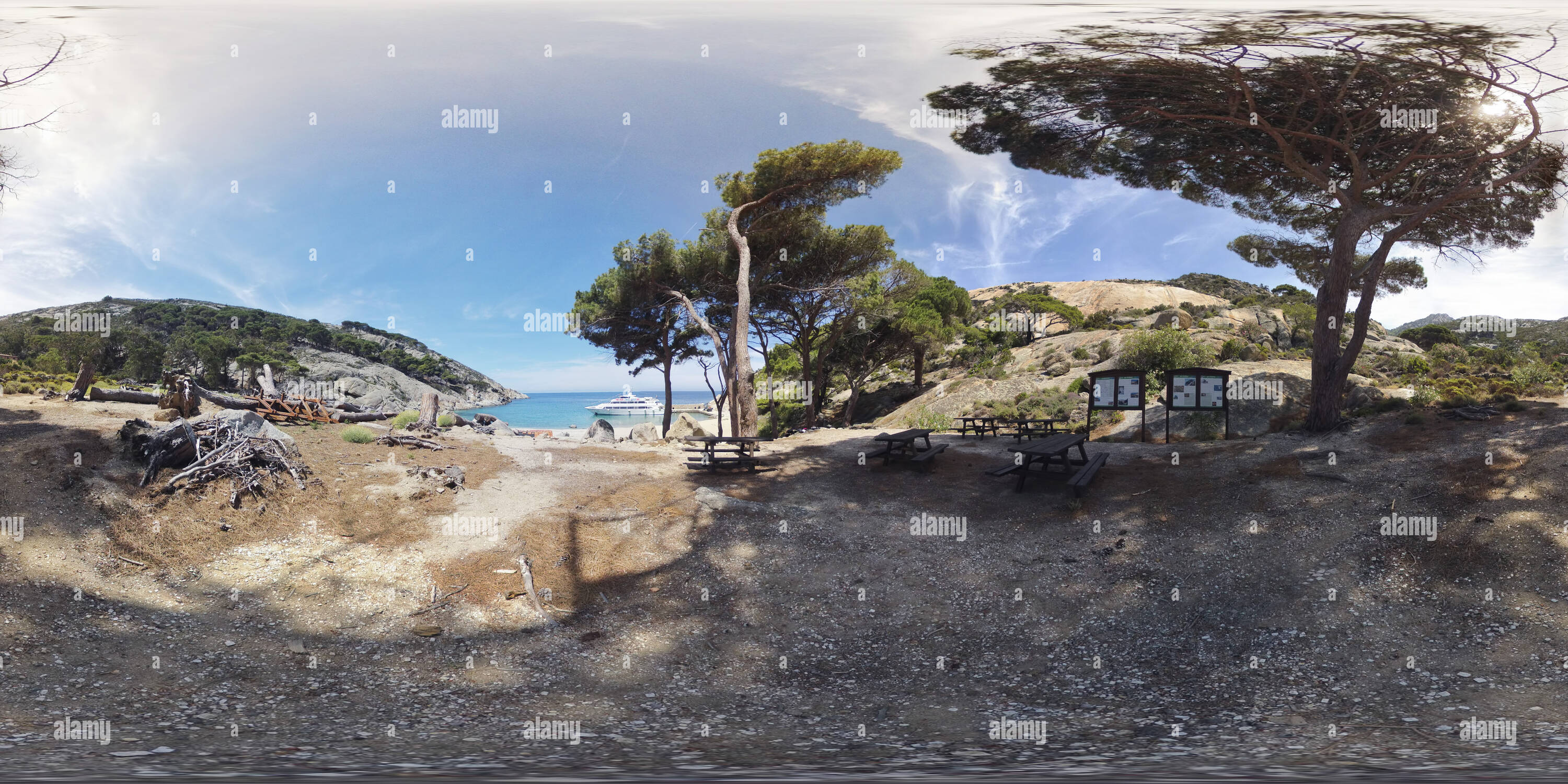 360° view of Under the trees - Alamy