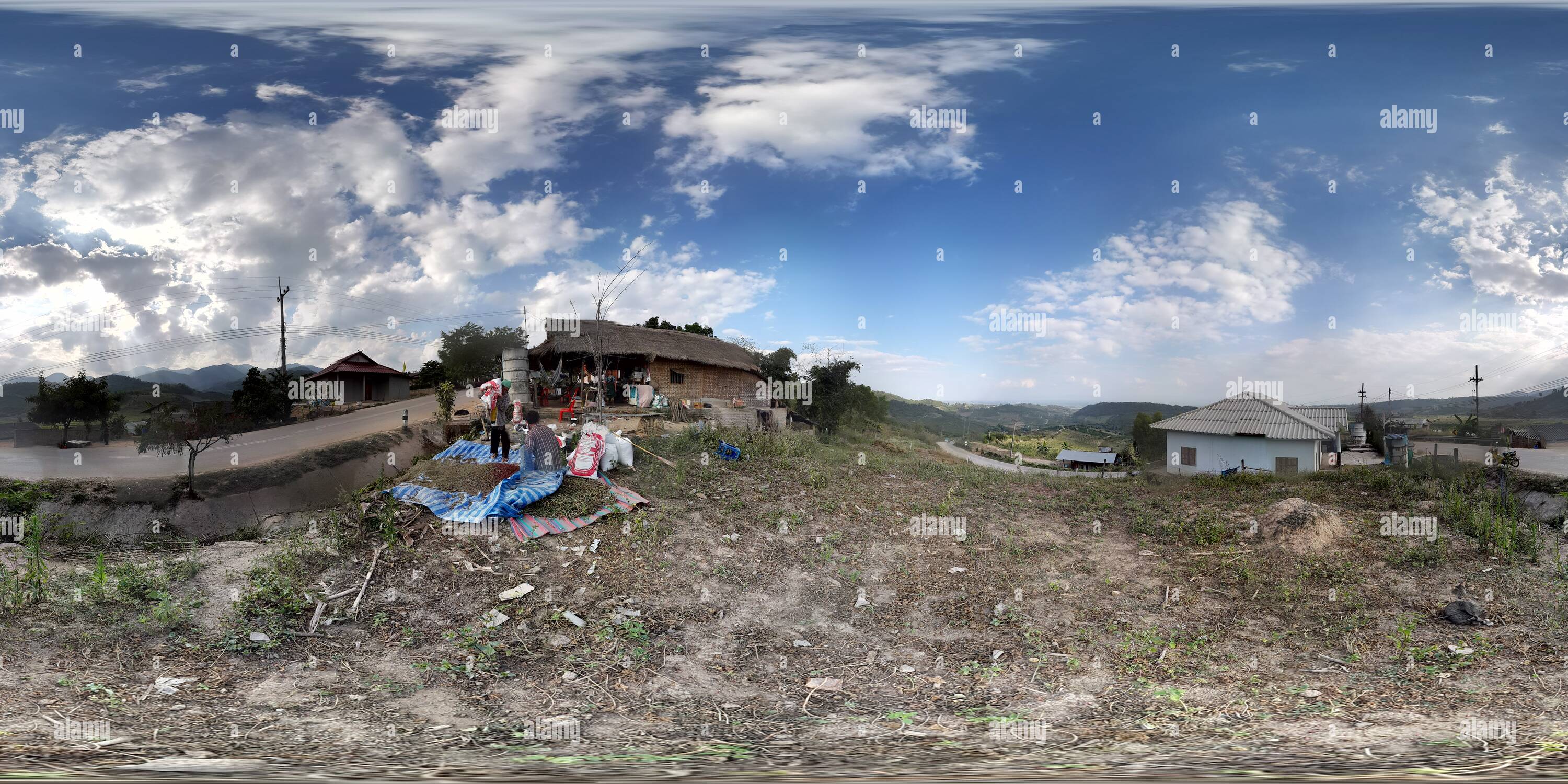 360° view of Sorting red kidney beans - Alamy