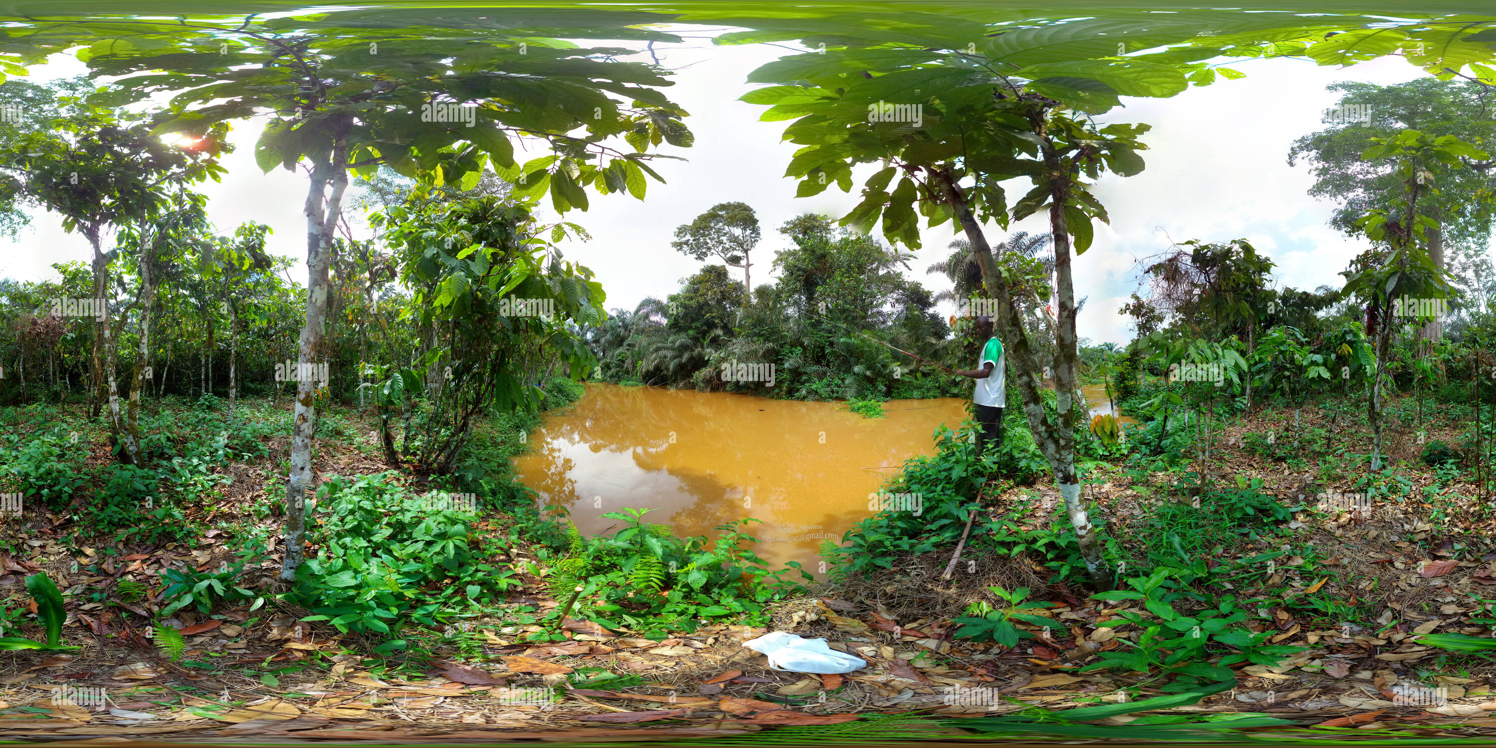 Activite de dokui hi-res stock photography and images - Alamy