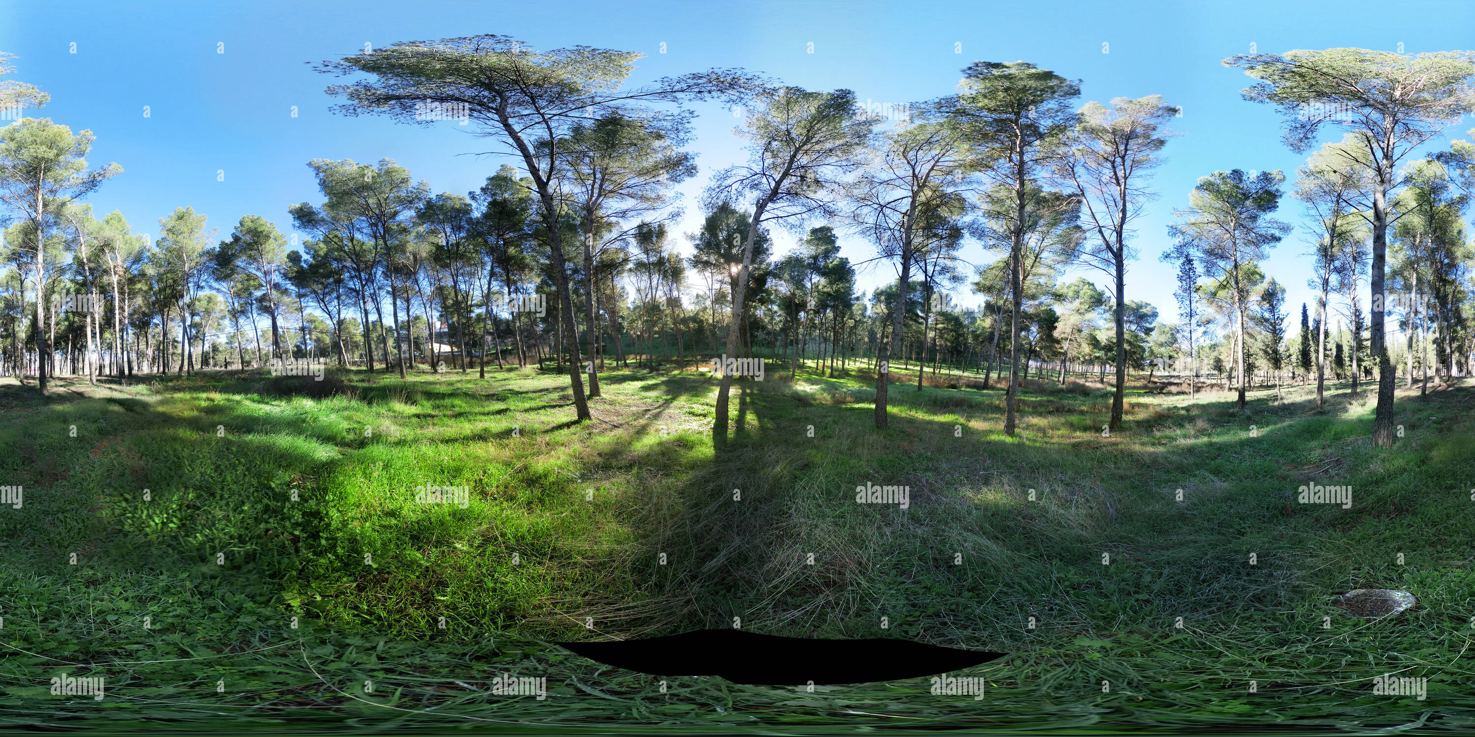 360° view of La tierra del Conde. La Guardia (Toledo - Alamy