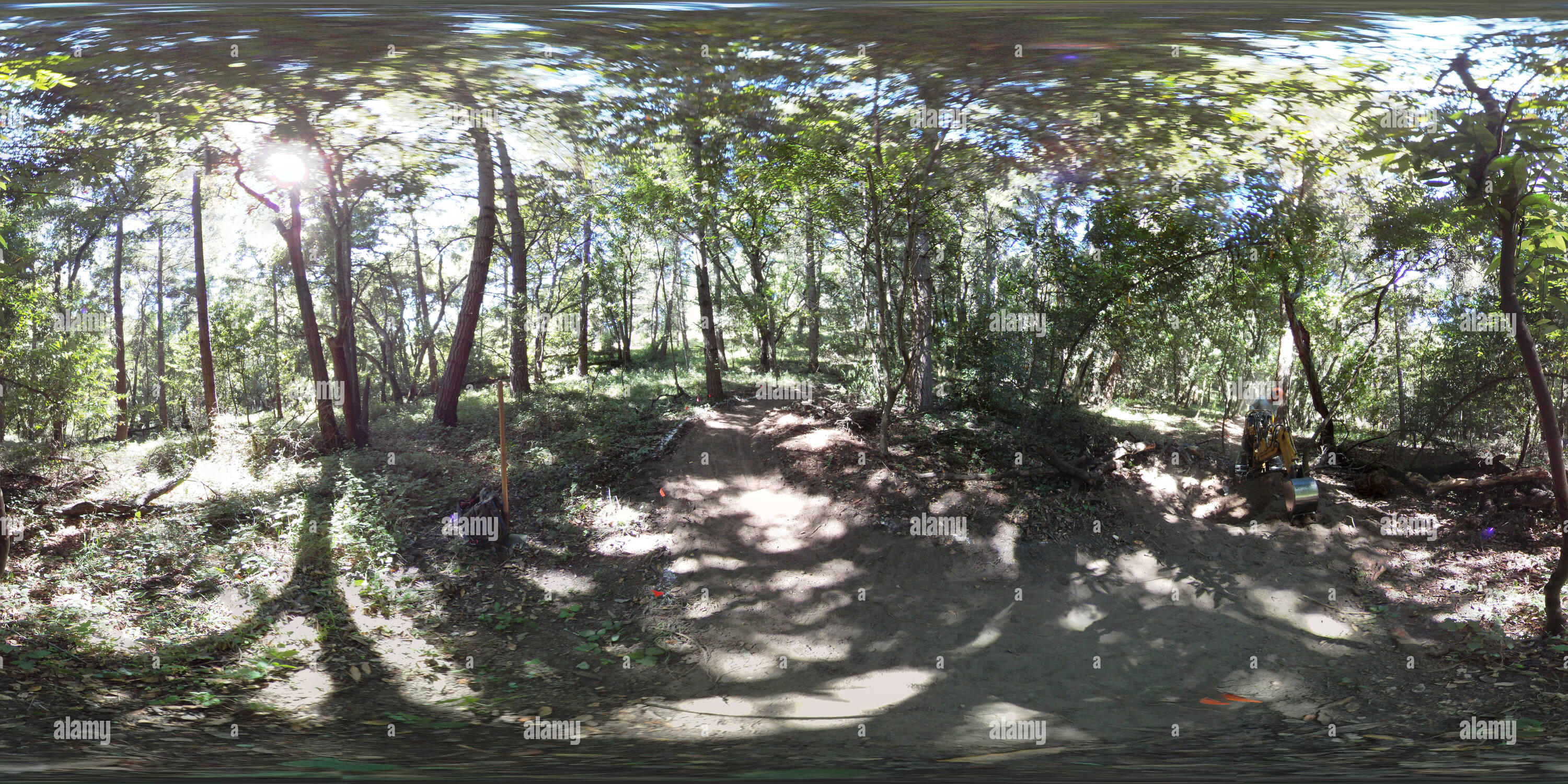 360° view of Pogonip EMUT stump number one - Alamy