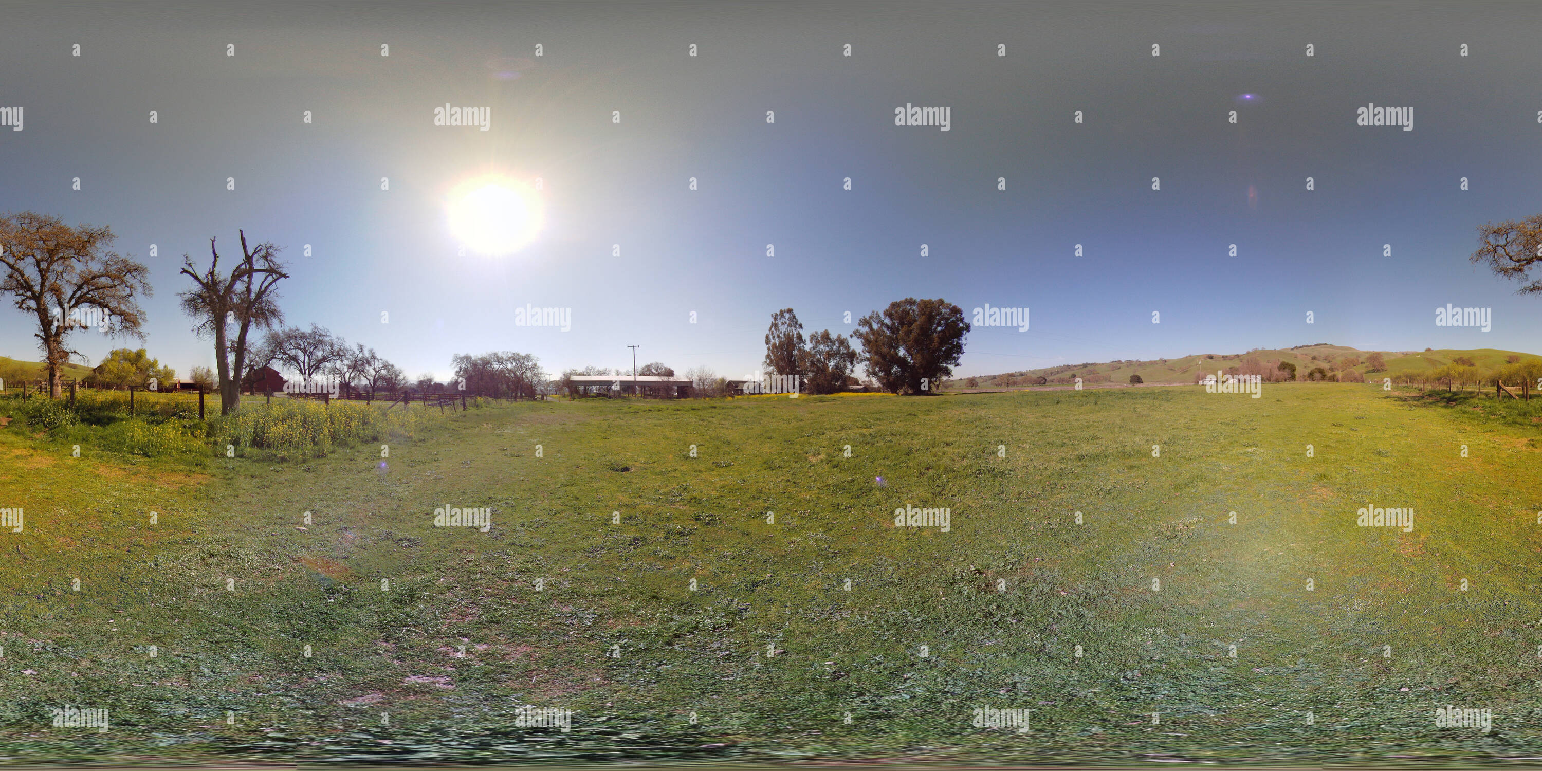 360° view of Harvey Bear Ranch - Alamy