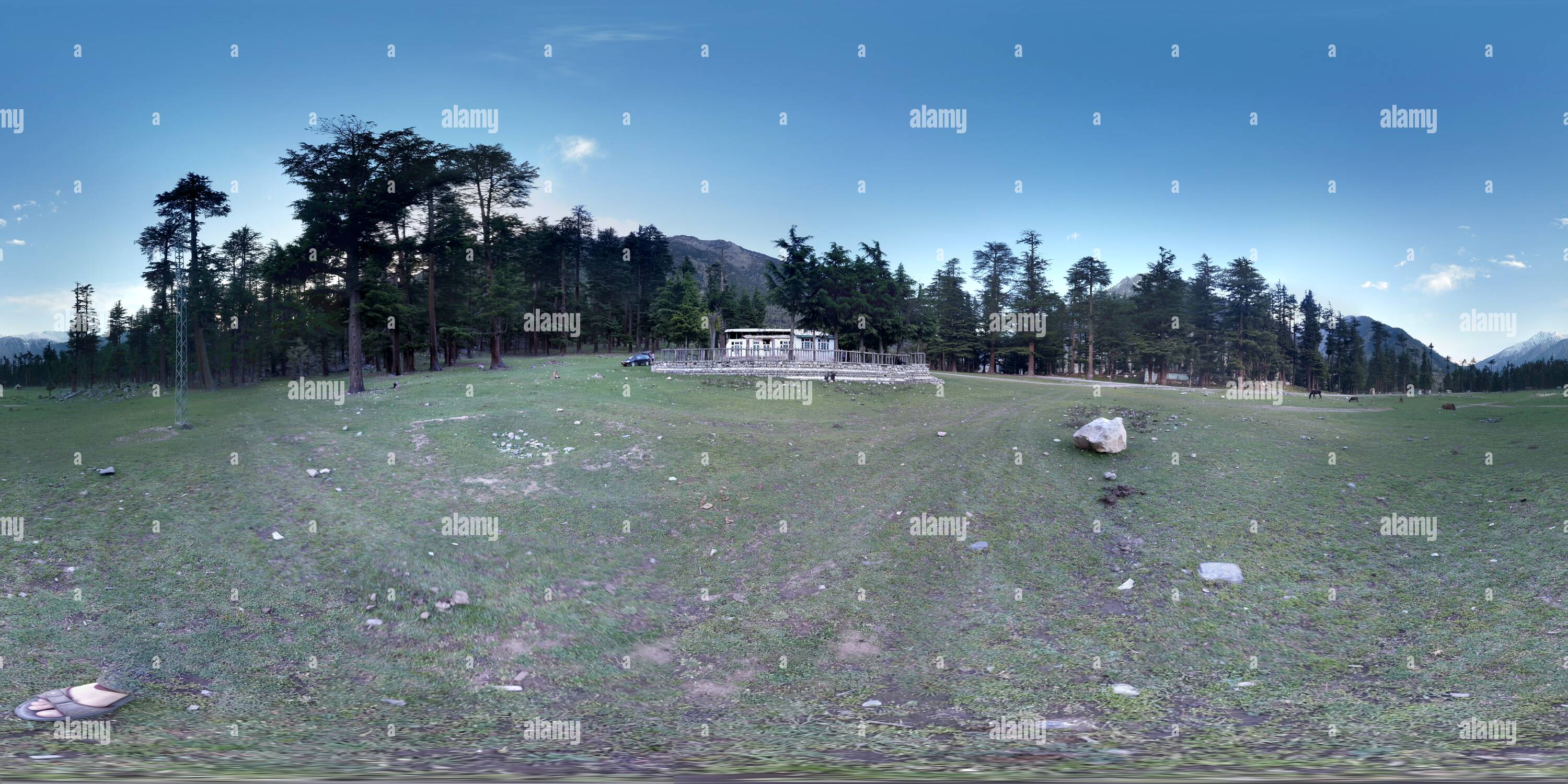 360° view of Forest Kalam, Swat - Alamy