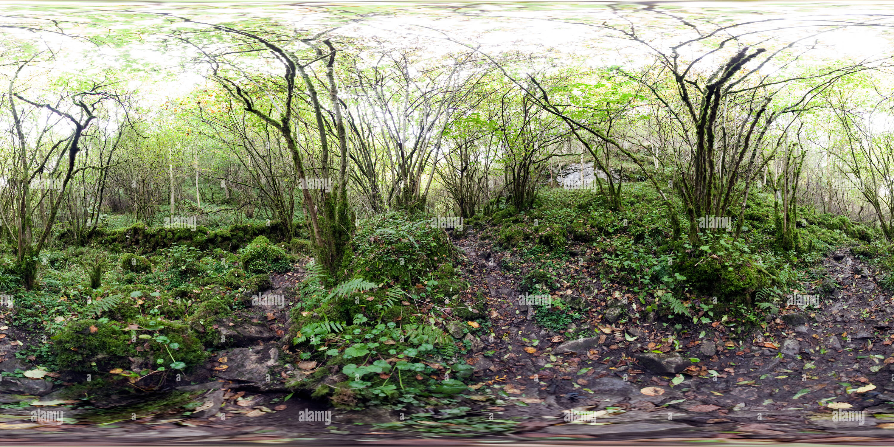 Monk's dale derbyshire hi-res stock photography and images - Alamy