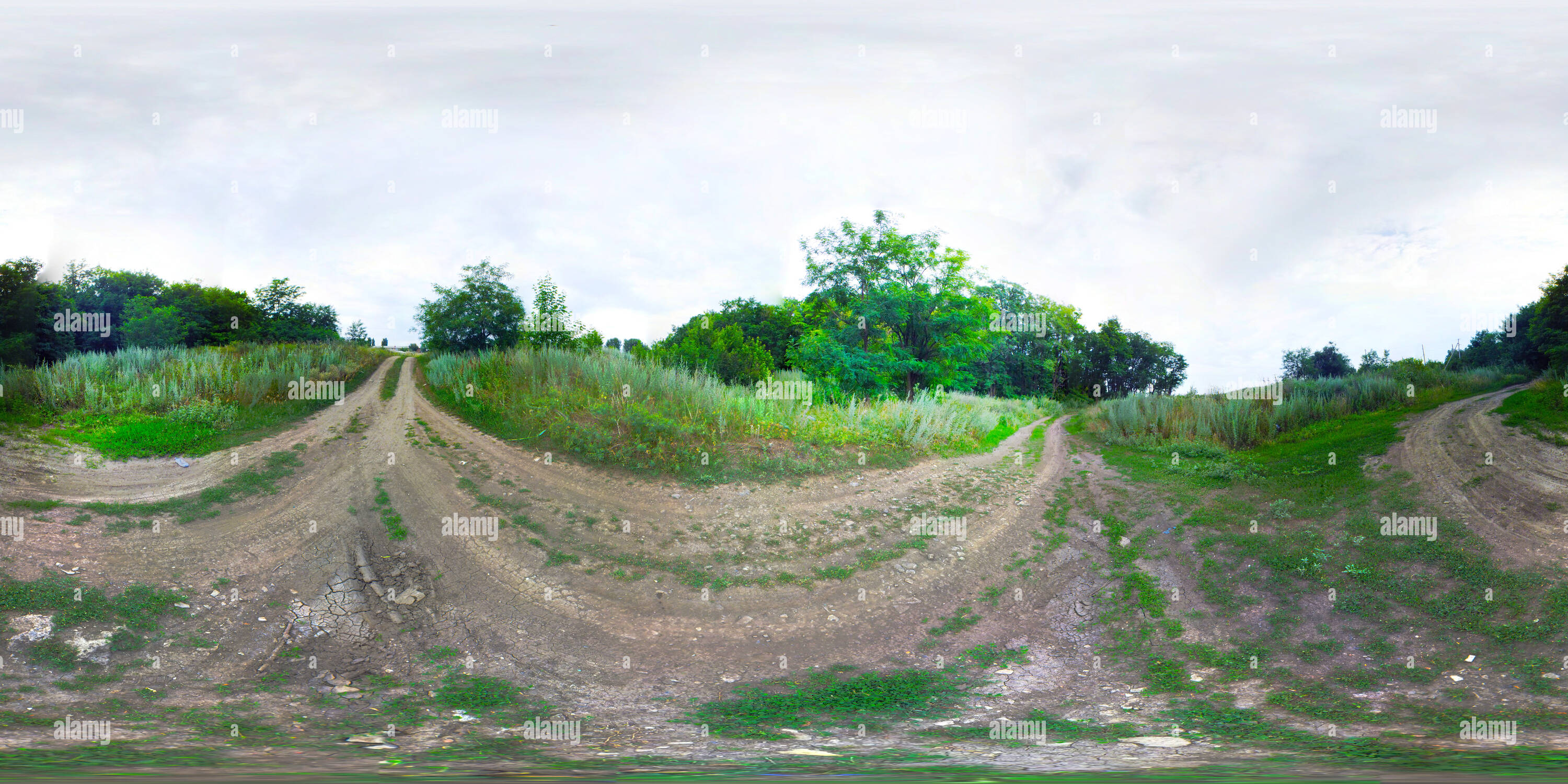 Nizina hi-res stock photography and images - Alamy