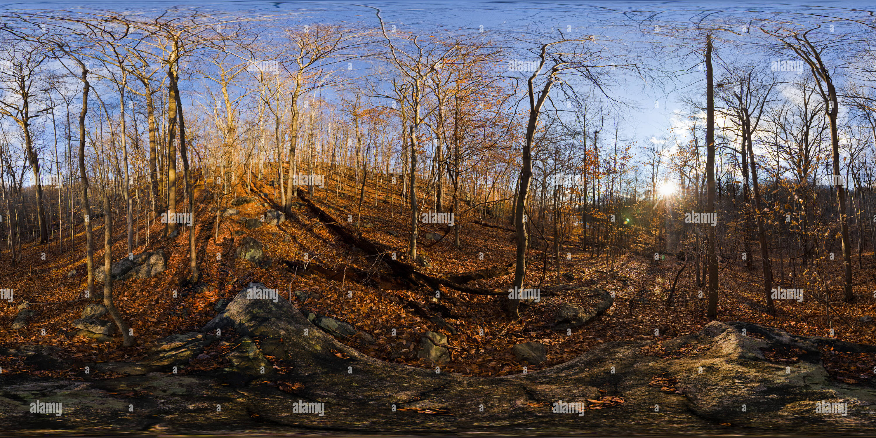 Springton hi-res stock photography and images - Alamy