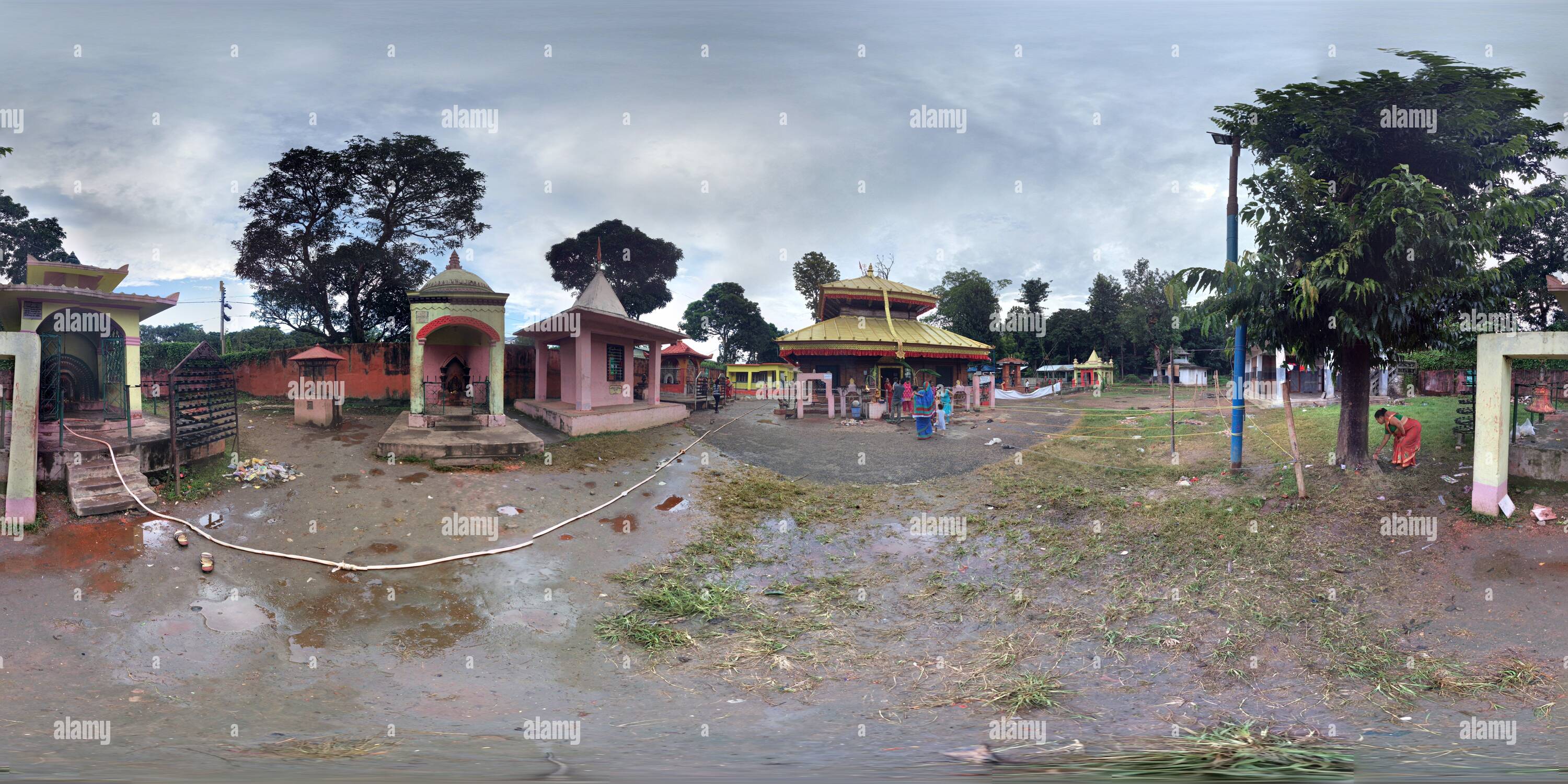 0033 hi-res stock photography and images - Alamy