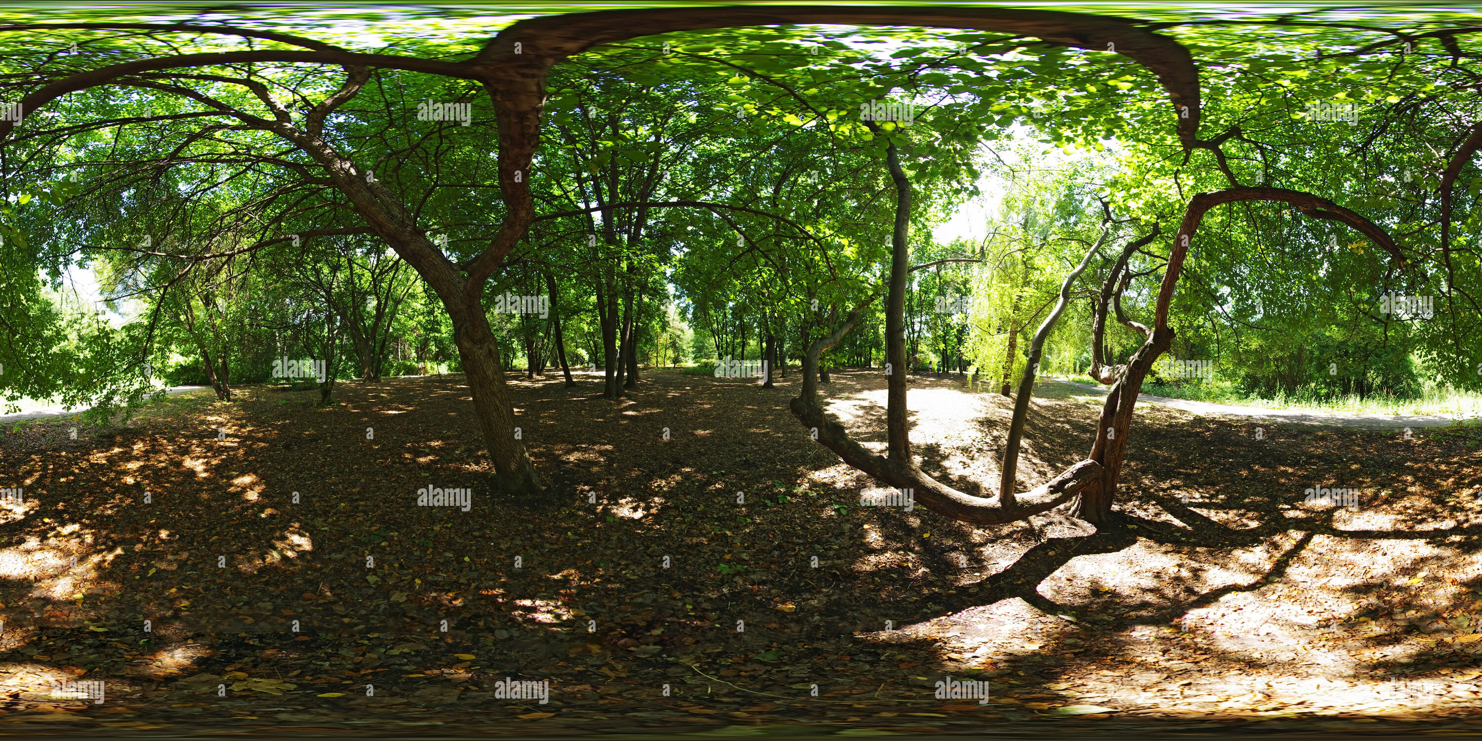 360° view of Botanical Garden of the Samara State University - Alamy