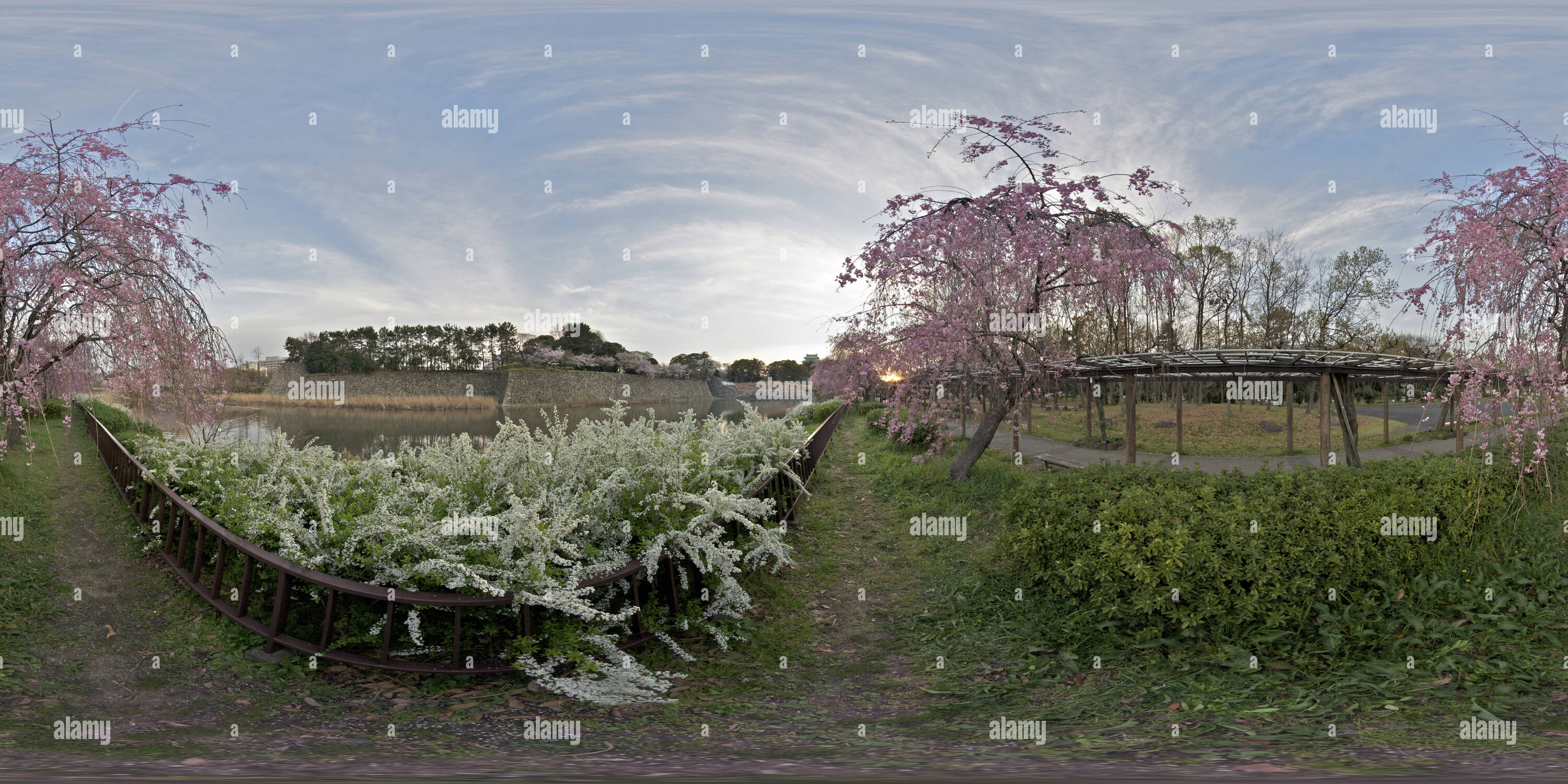 360° view of Meijo Koen Spring Evening - Alamy