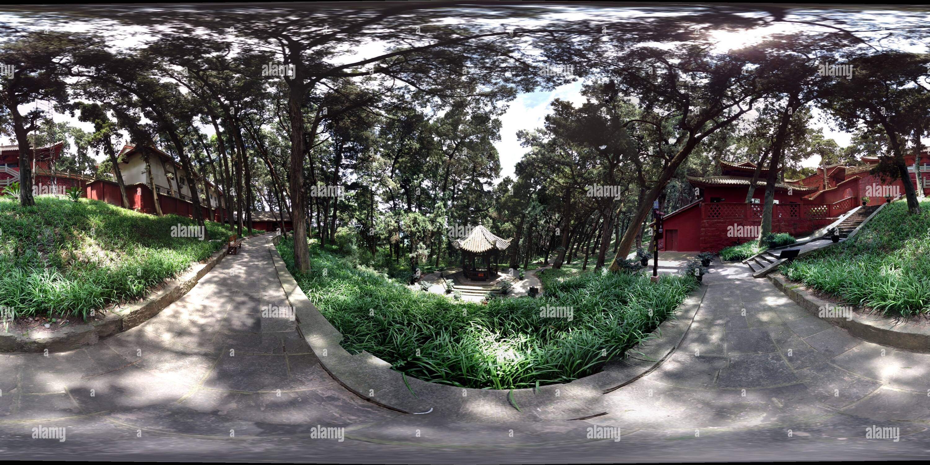 360° view of The ancient cypress - Alamy