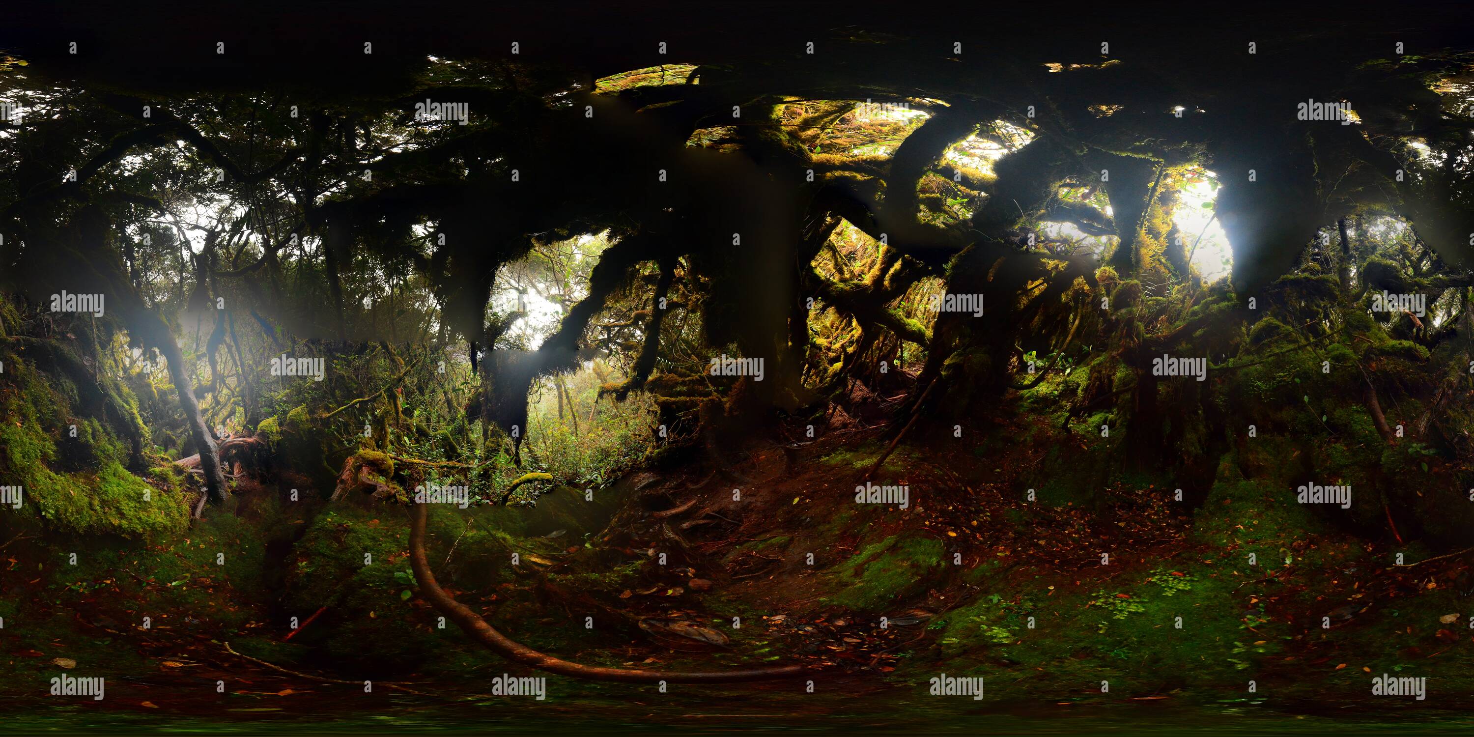 360° view of On the way to Mount Yong Yap - Alamy