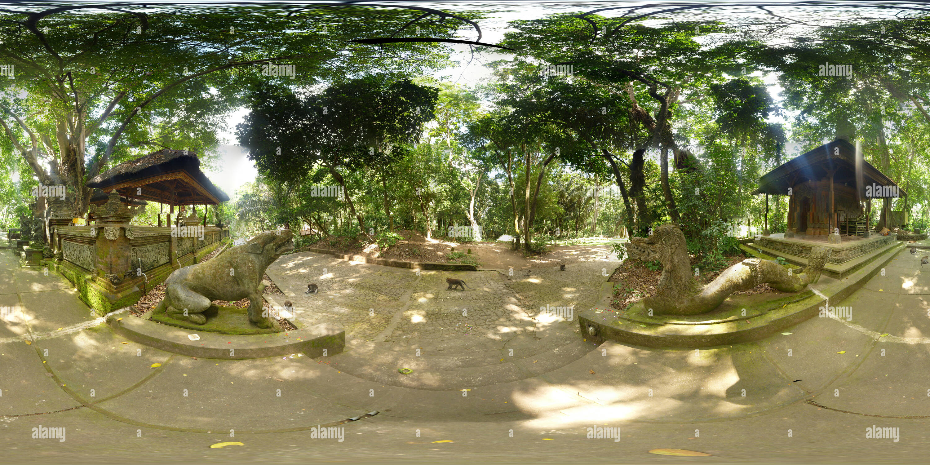 360° view of Monkey Temple In Ubud Monkey Forest - Alamy