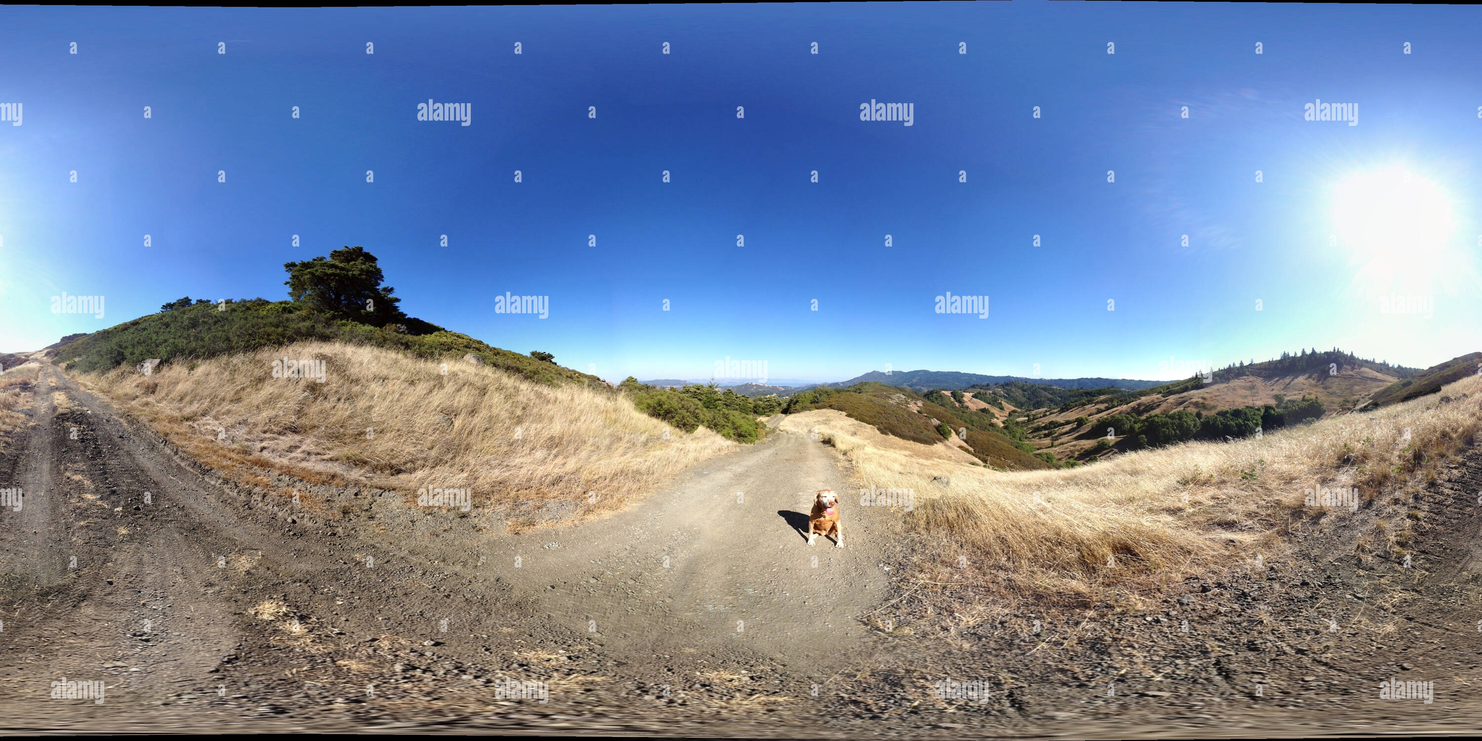 Marin mountain bike hi-res stock photography and images - Alamy