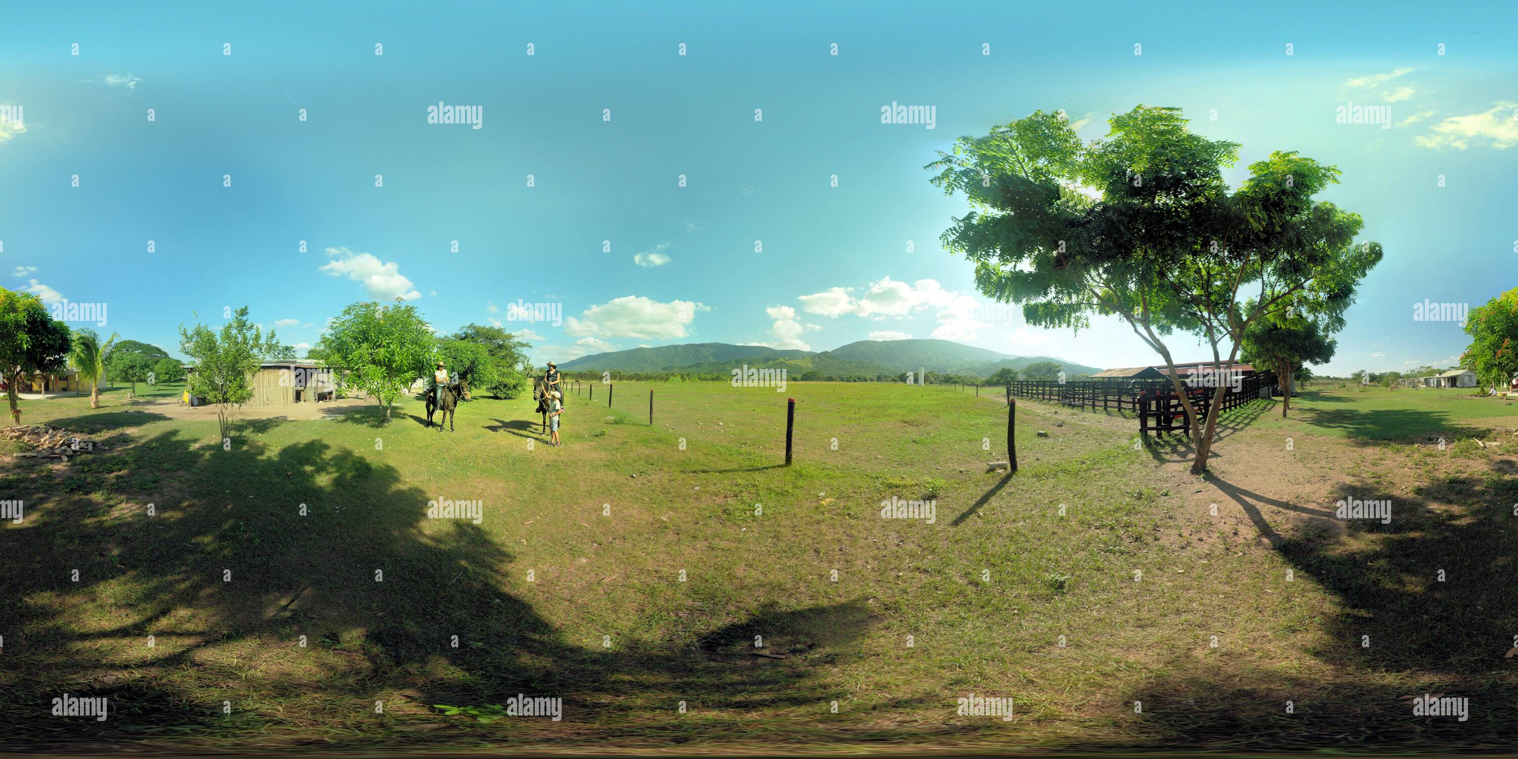 360° view of Horseback Riding Cattle Farm - Alamy