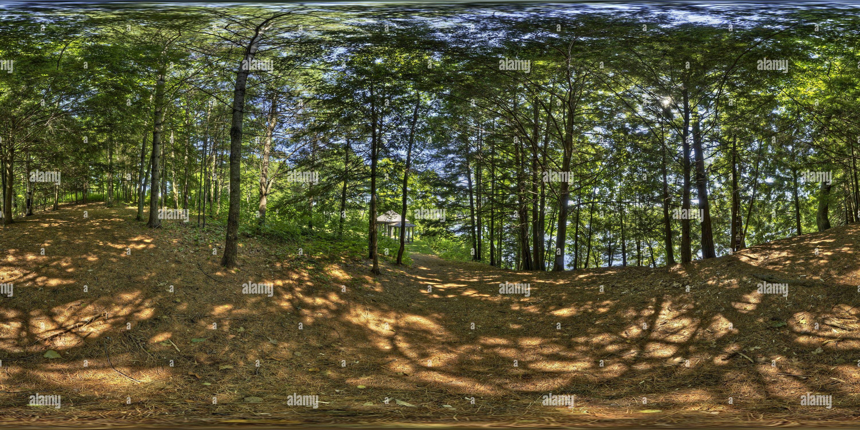 360° view of Trail in Dover Hill Park - Alamy