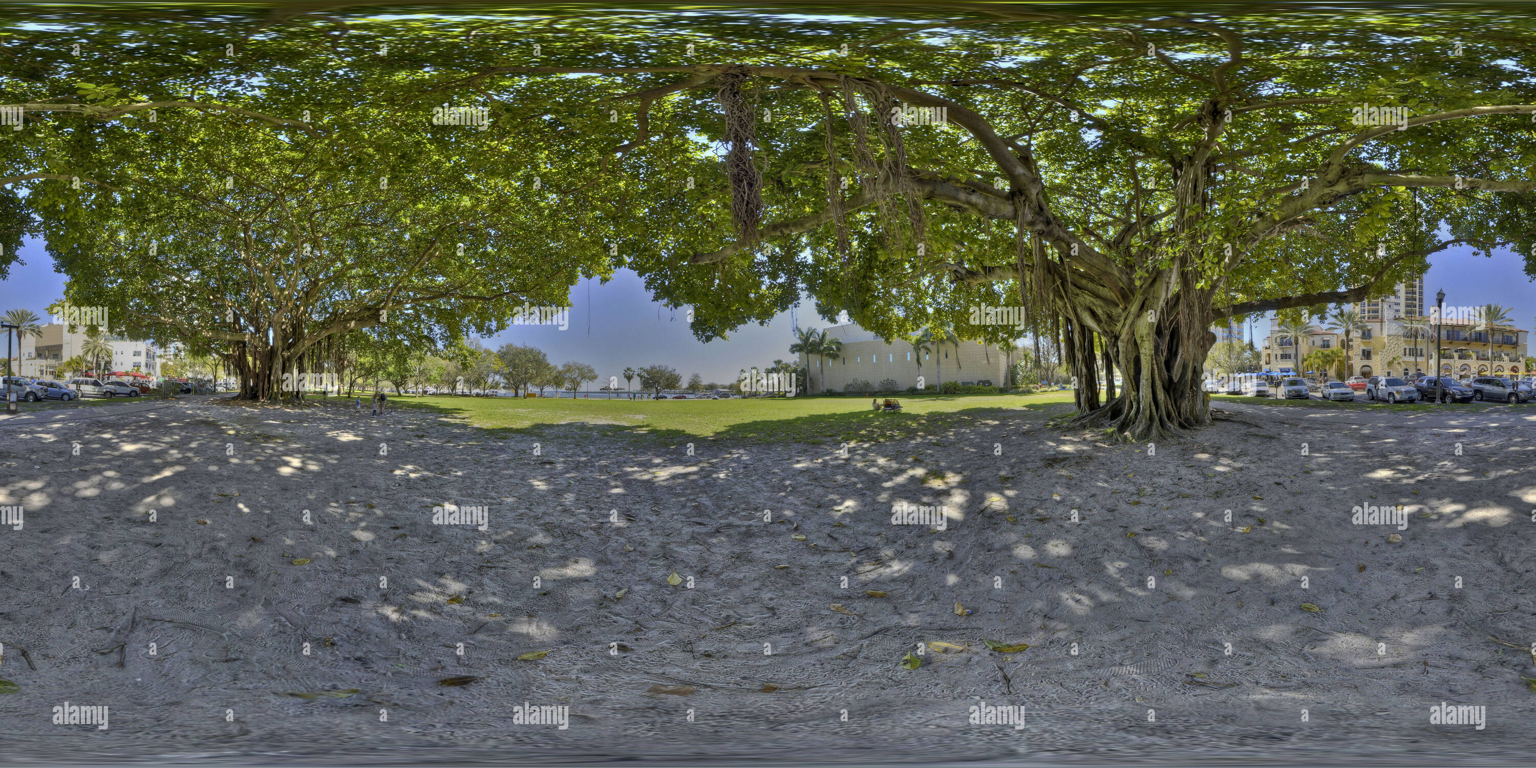 360° view of Straub Park, St. Petersburg, Florida - Alamy