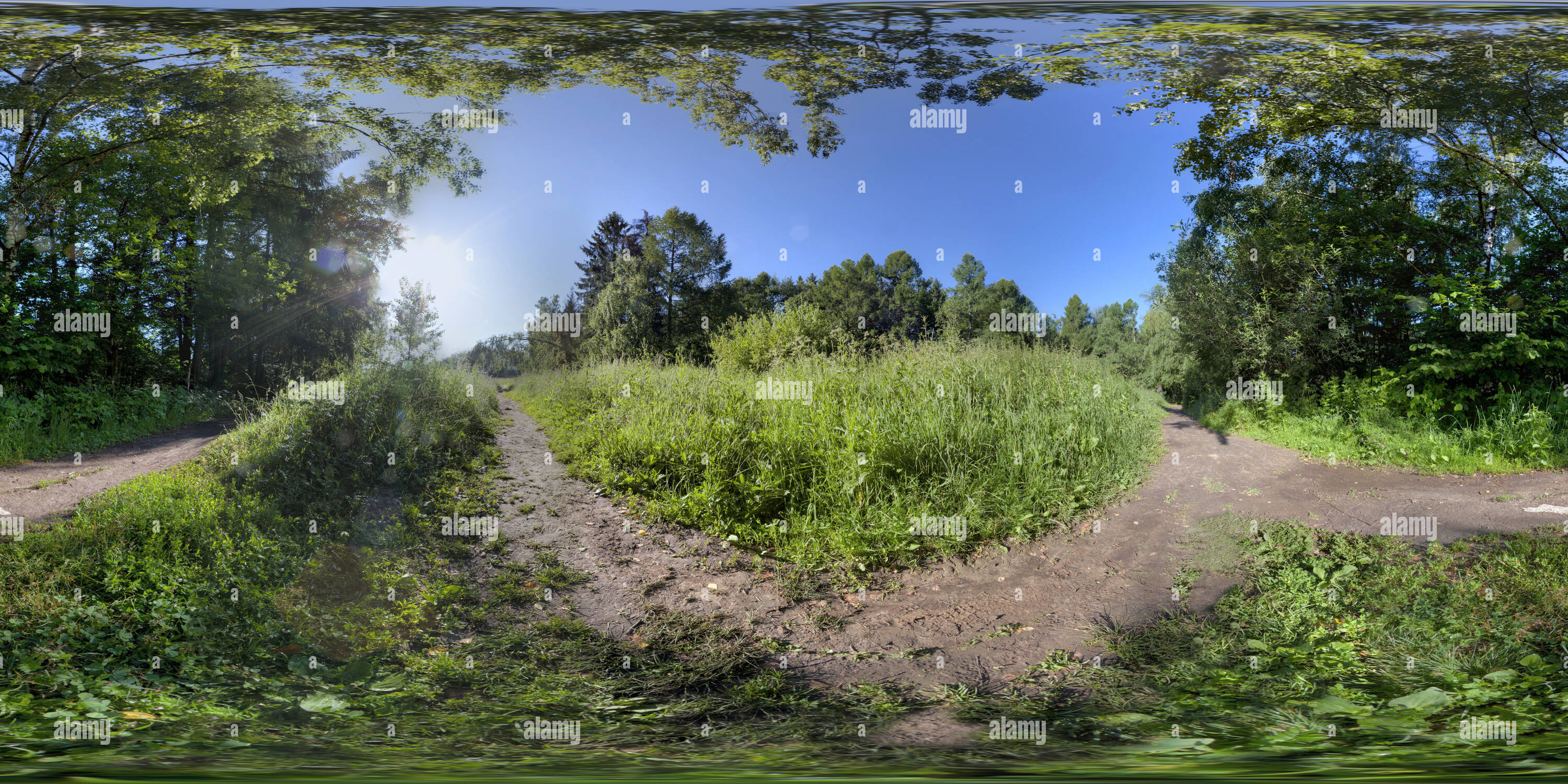 Bitza park hi-res stock photography and images - Alamy