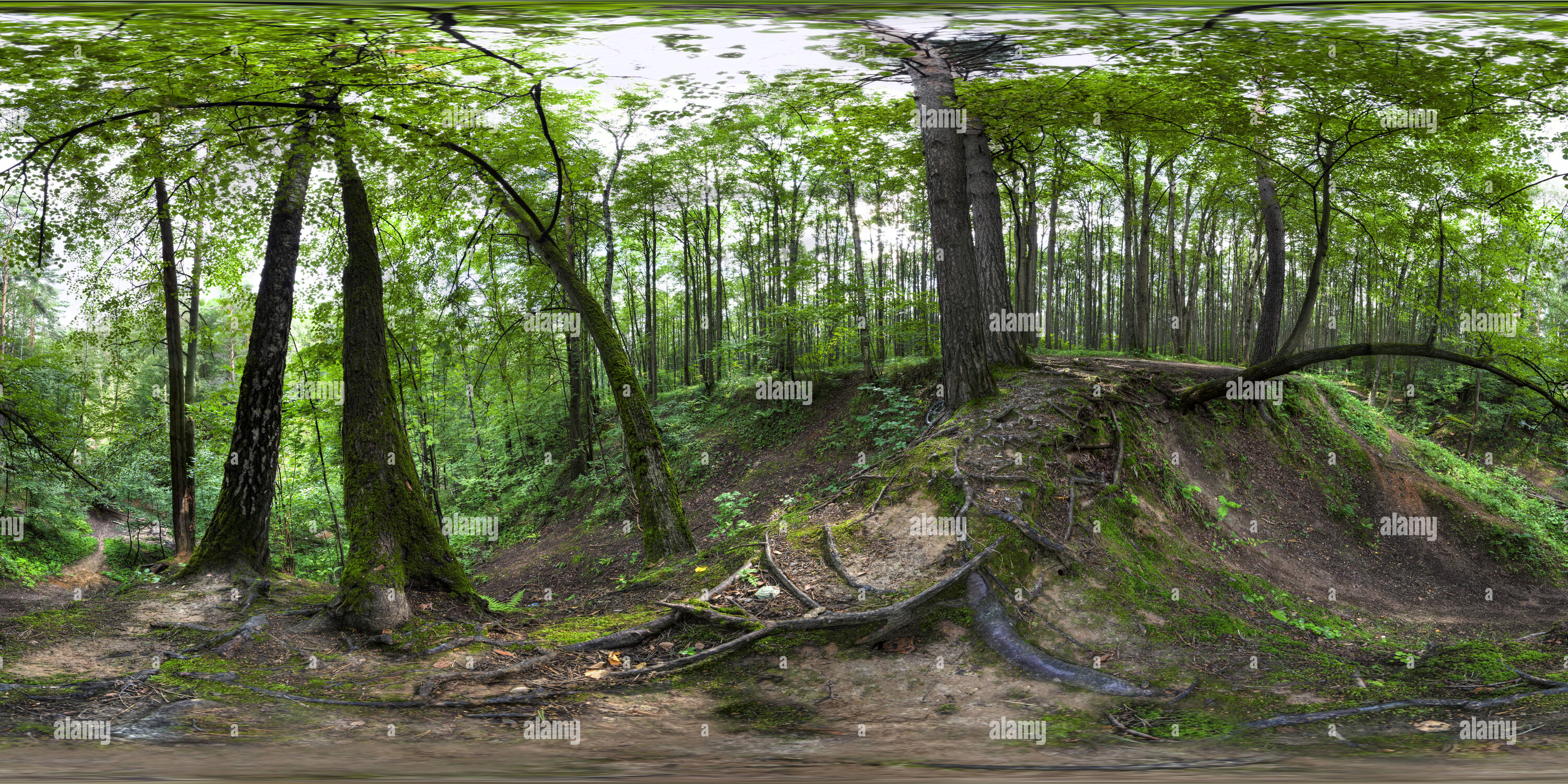 360° view of Bitza Park, Moscow - Alamy