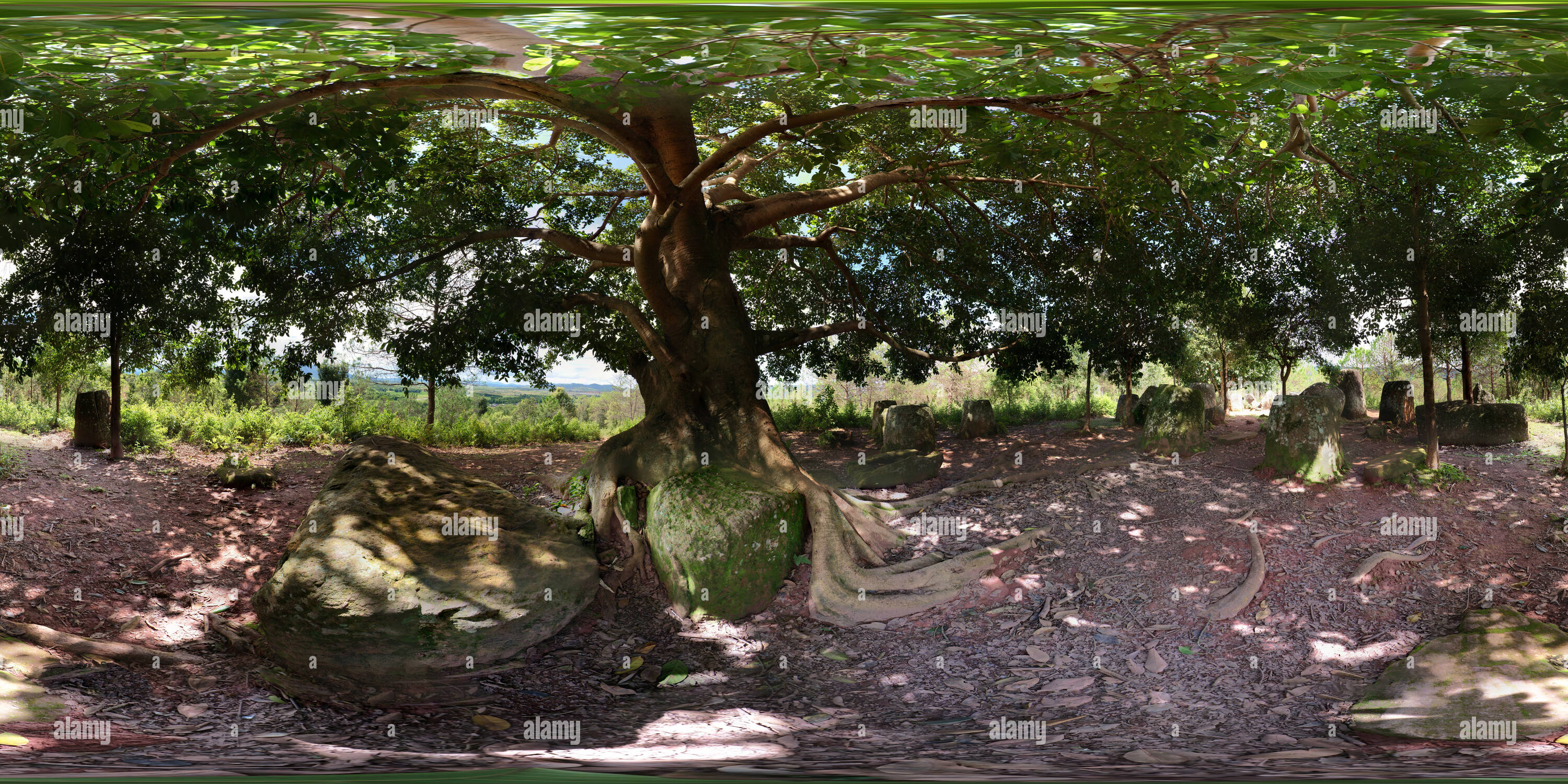 360° view of The Plain of Jars, site two - Alamy