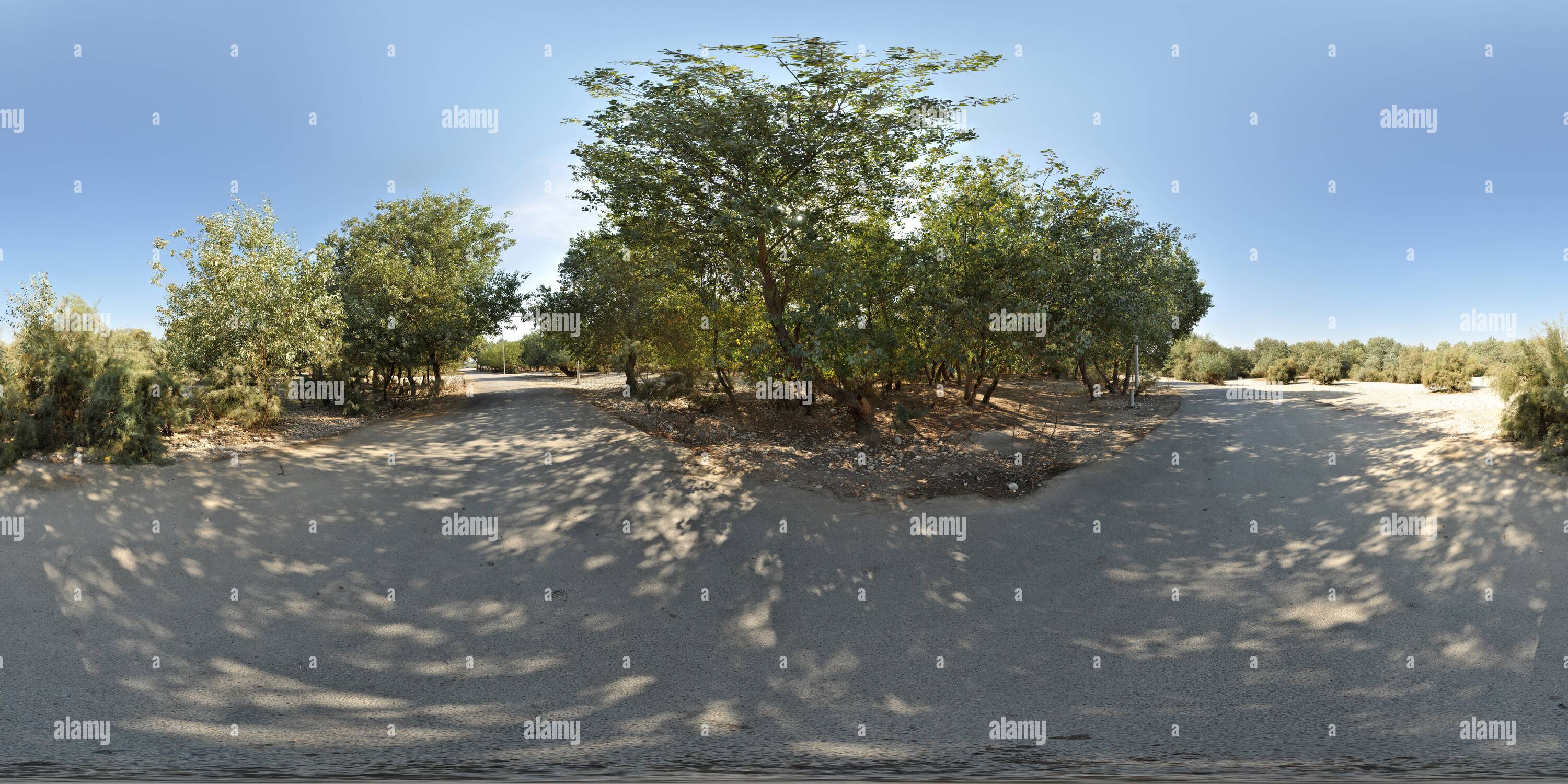 Behbahan hi-res stock photography and images - Alamy