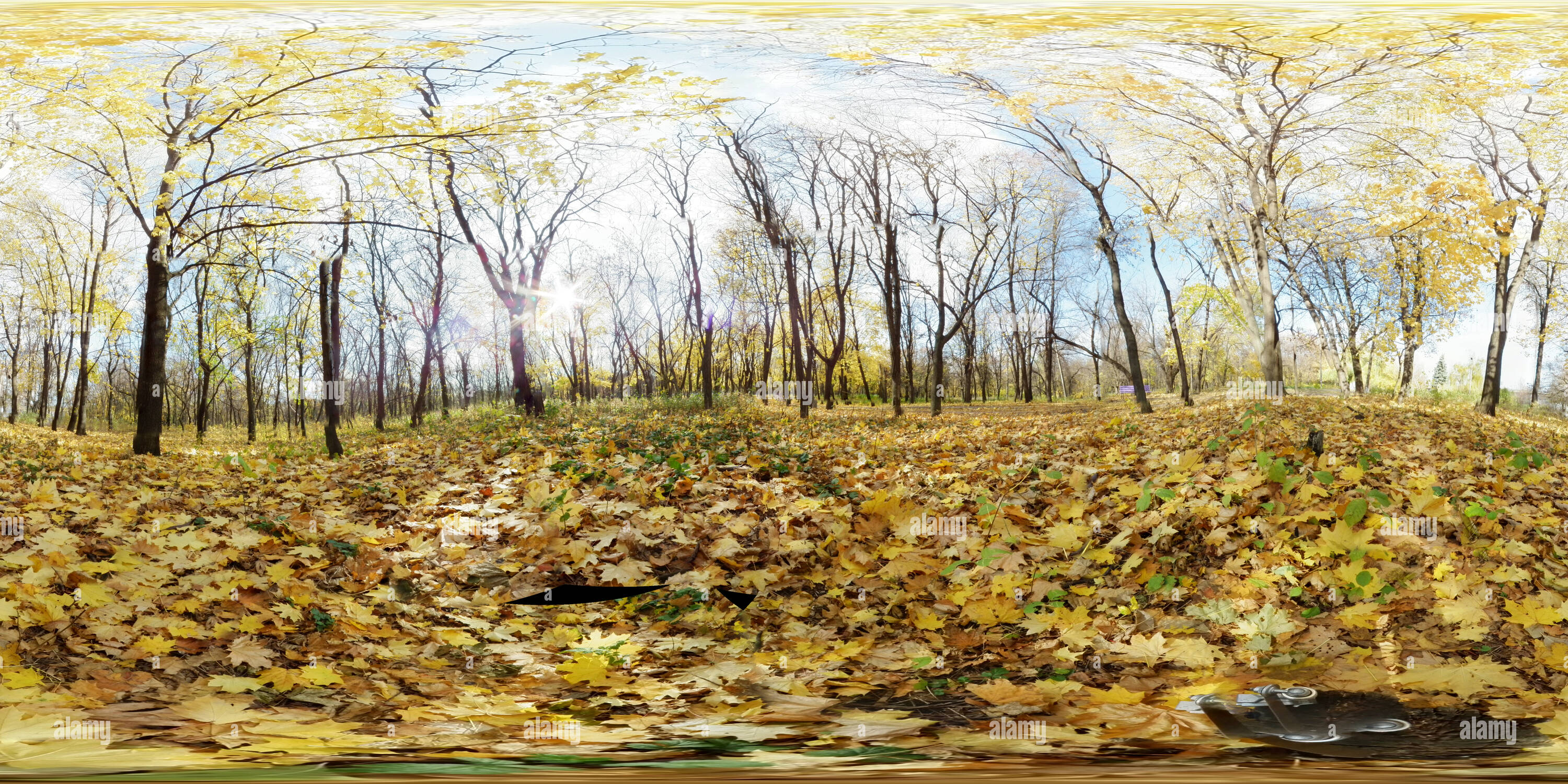 Pushkina hi-res stock photography and images - Alamy