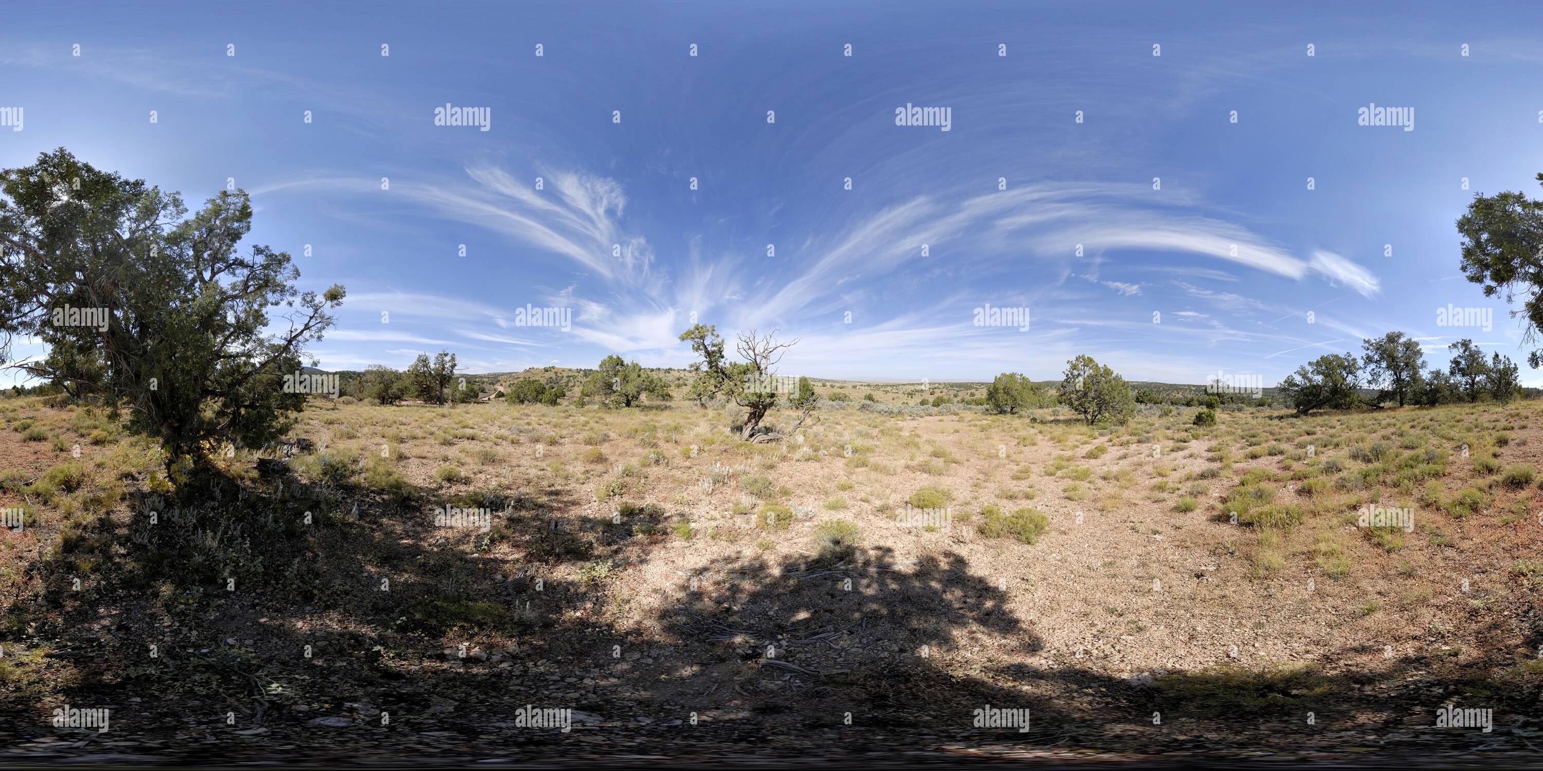 360° view of Mt Trumbull road towards Toroweap overlook on the Grand ...