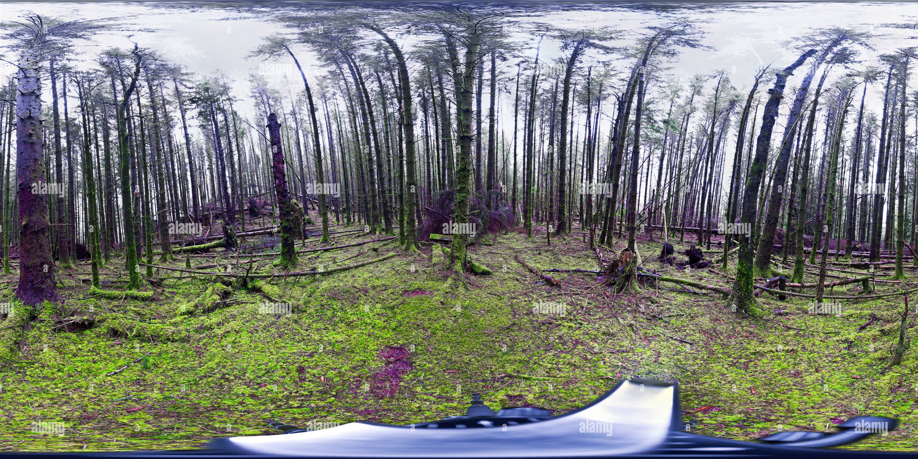 Smartblend hi-res stock photography and images - Alamy