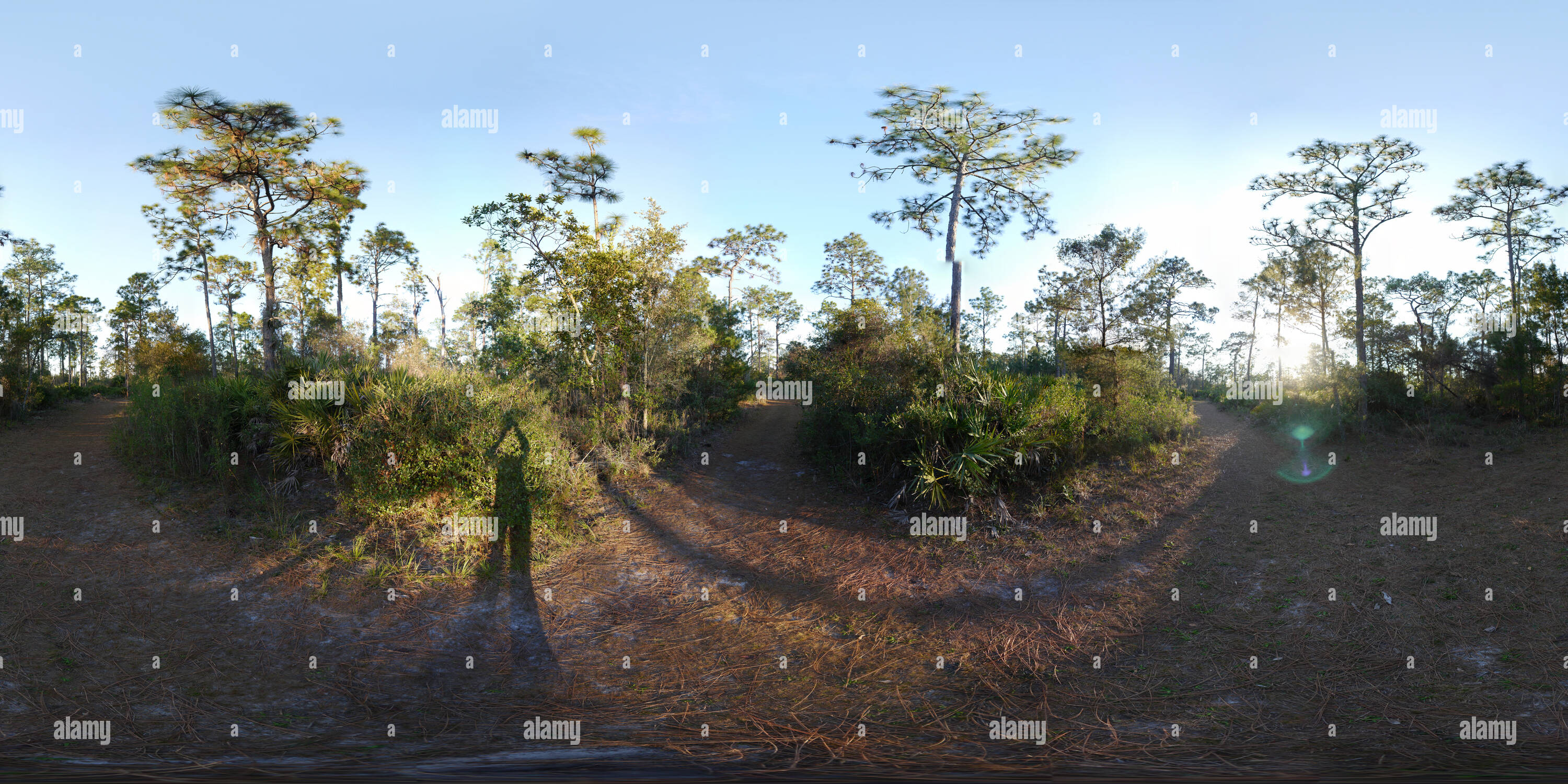 360° view of Trails behind Lake Clare - Alamy