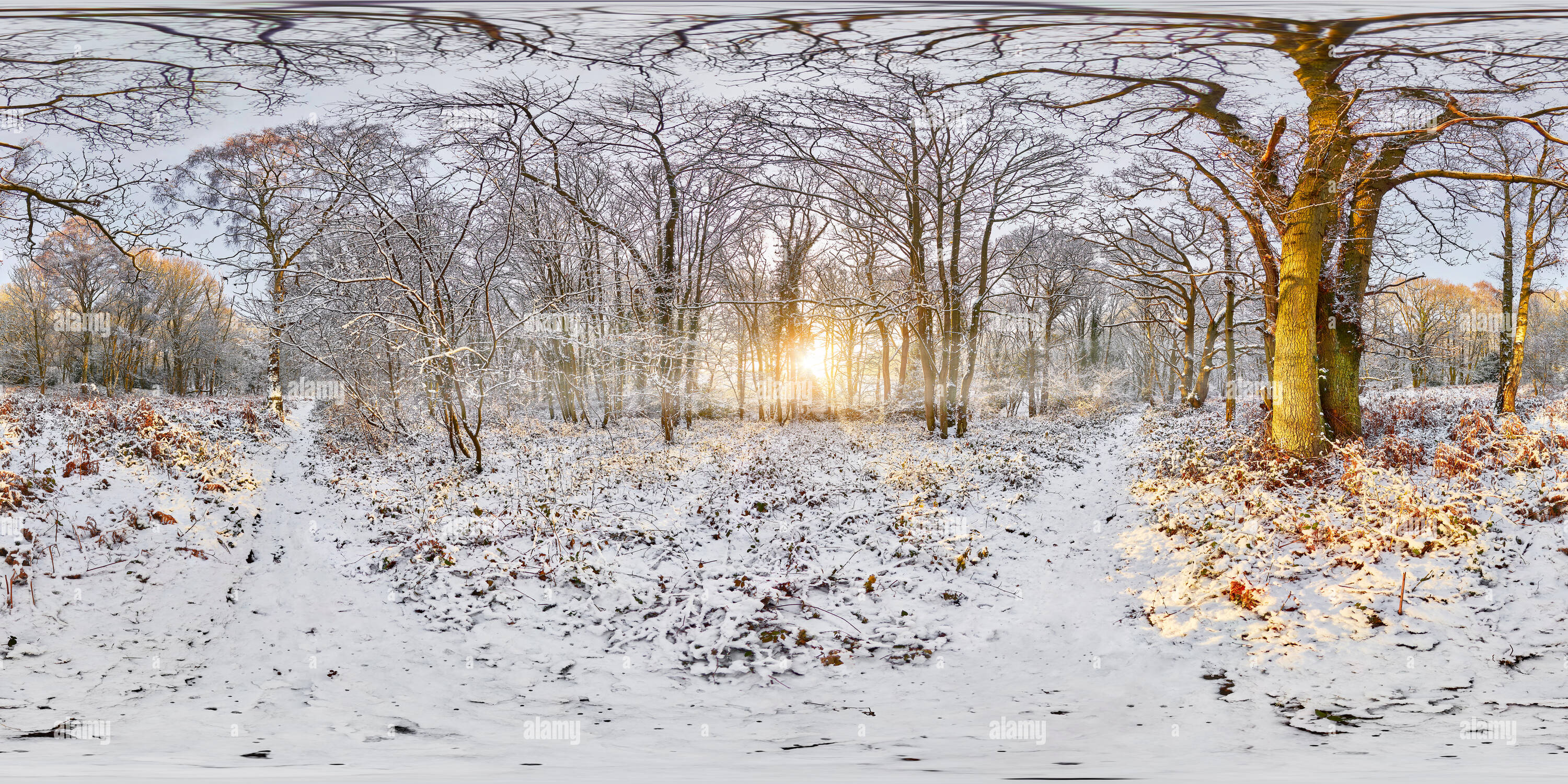 360 virtual tour hi-res stock photography and images - Alamy