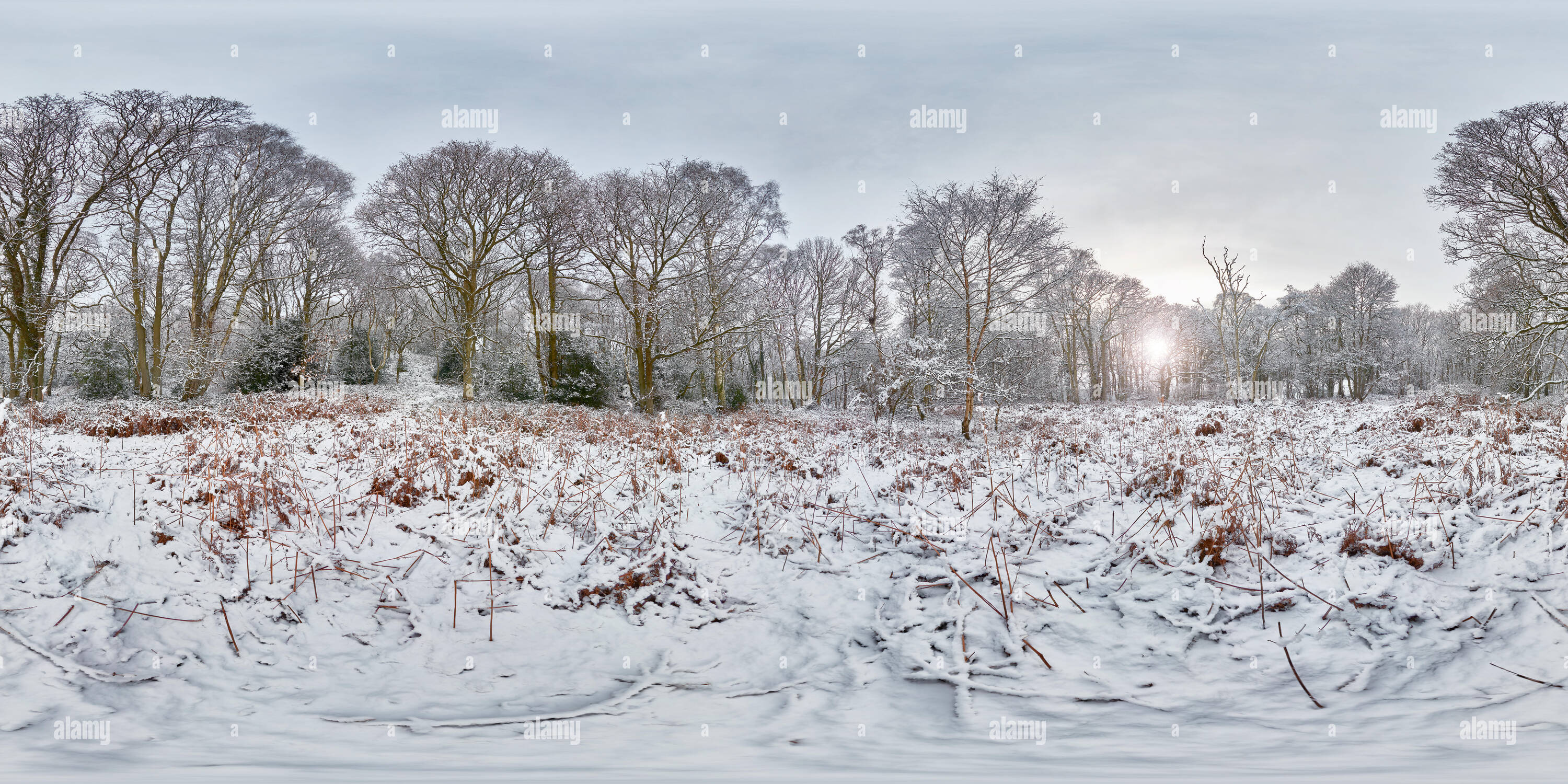 360 virtual tour hi-res stock photography and images - Alamy