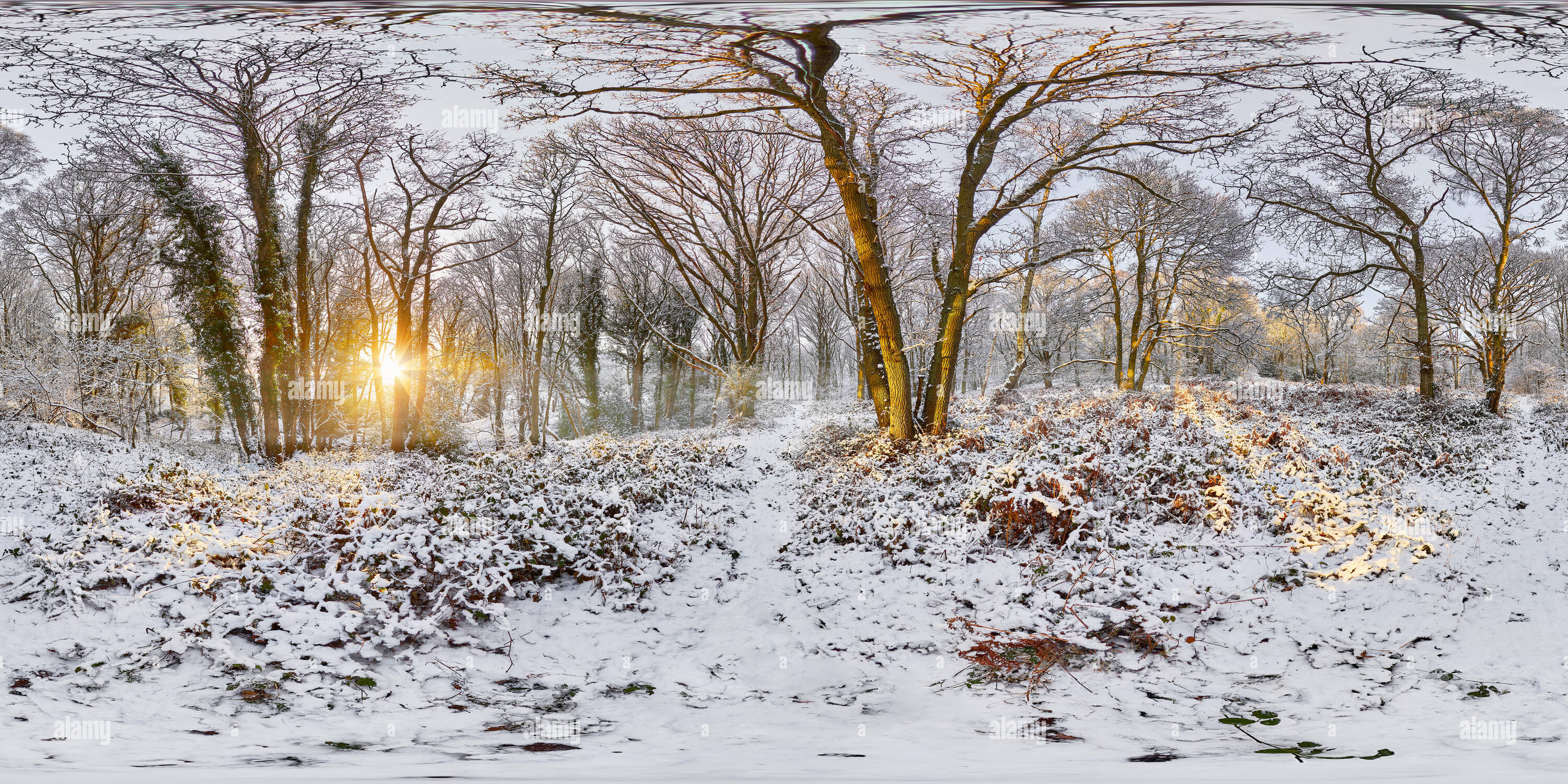 360 virtual tour hi-res stock photography and images - Alamy