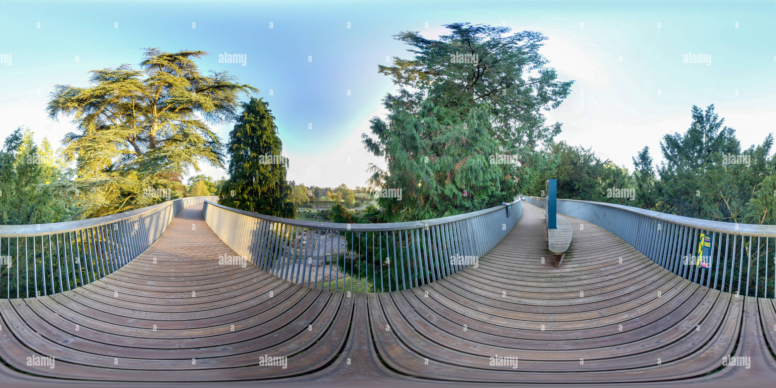 360° view of 360° Panorama, The Tree Top Walk, The National Arboretum ...
