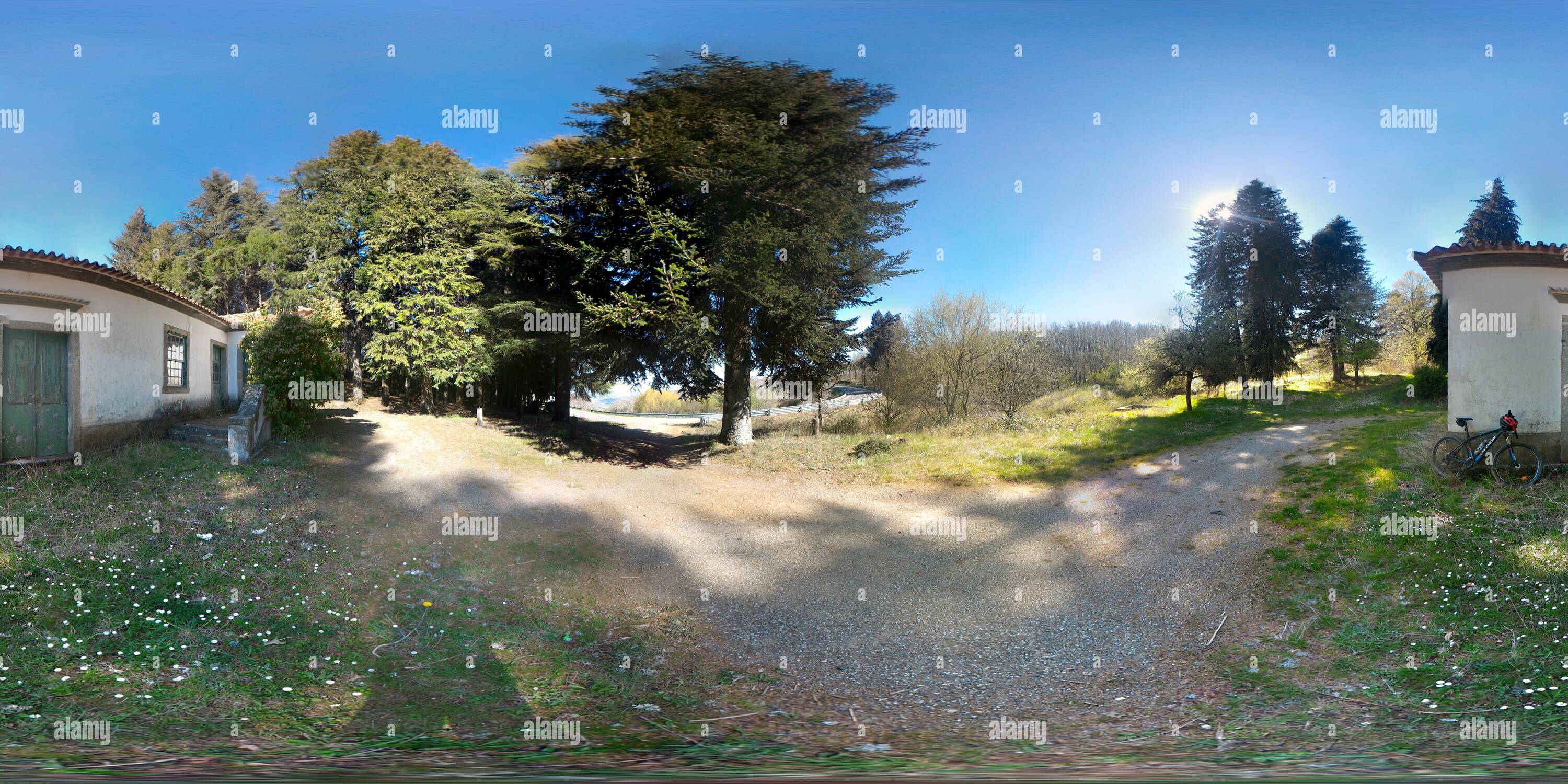 360° view of Old Forest house - Alamy
