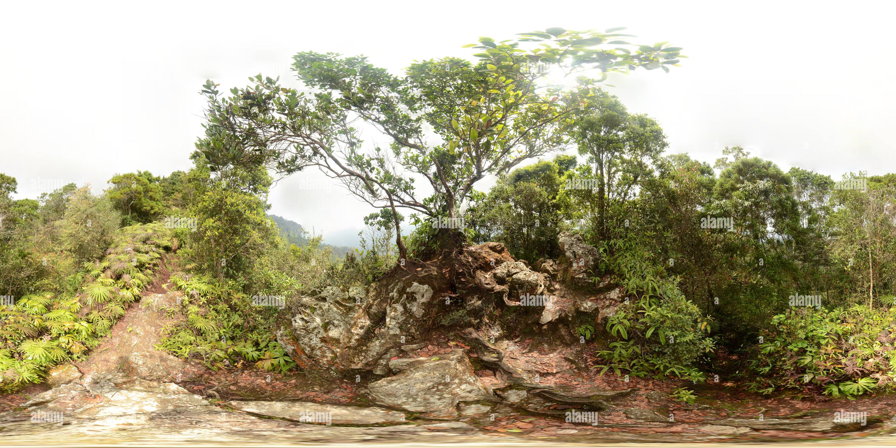 Mount bunga buah hi-res stock photography and images - Alamy