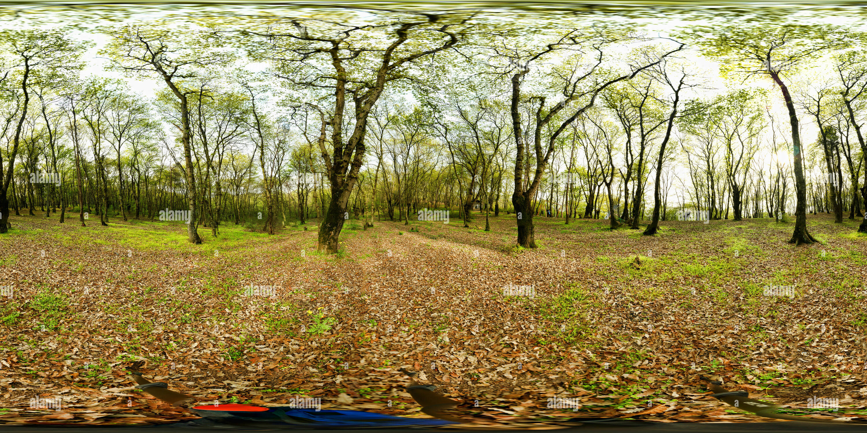 360° view of zare jungle park - Alamy