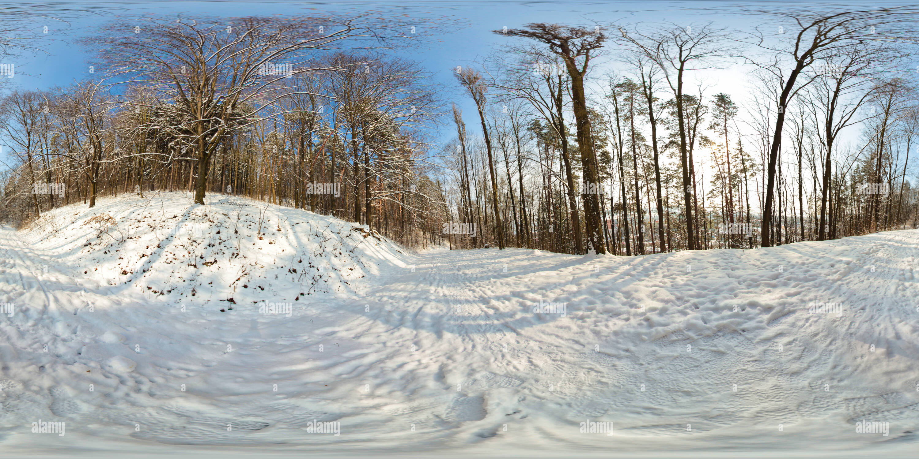 360° view of Winter nature - first attempt - Alamy