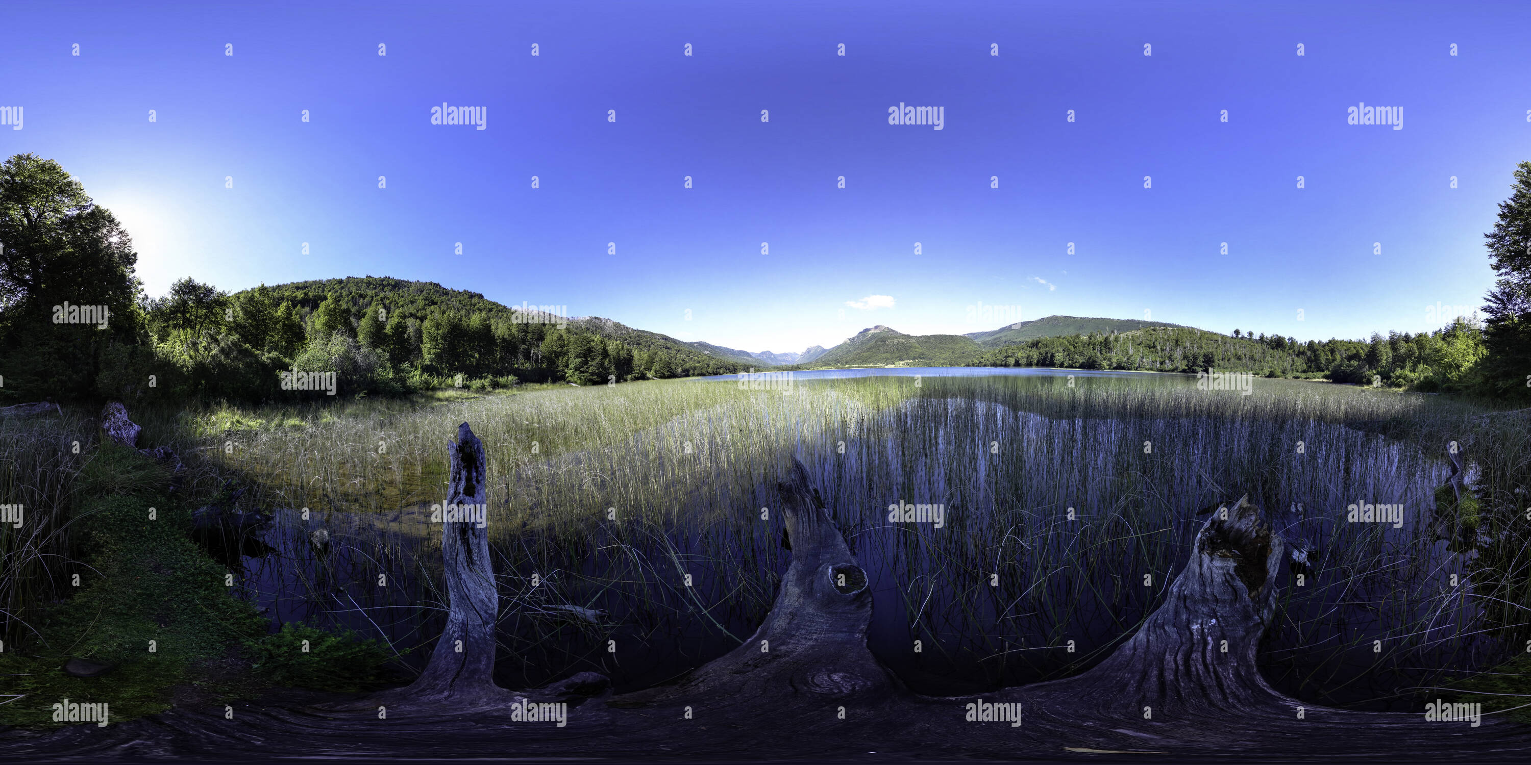 Malleco nacional hi-res stock photography and images - Alamy