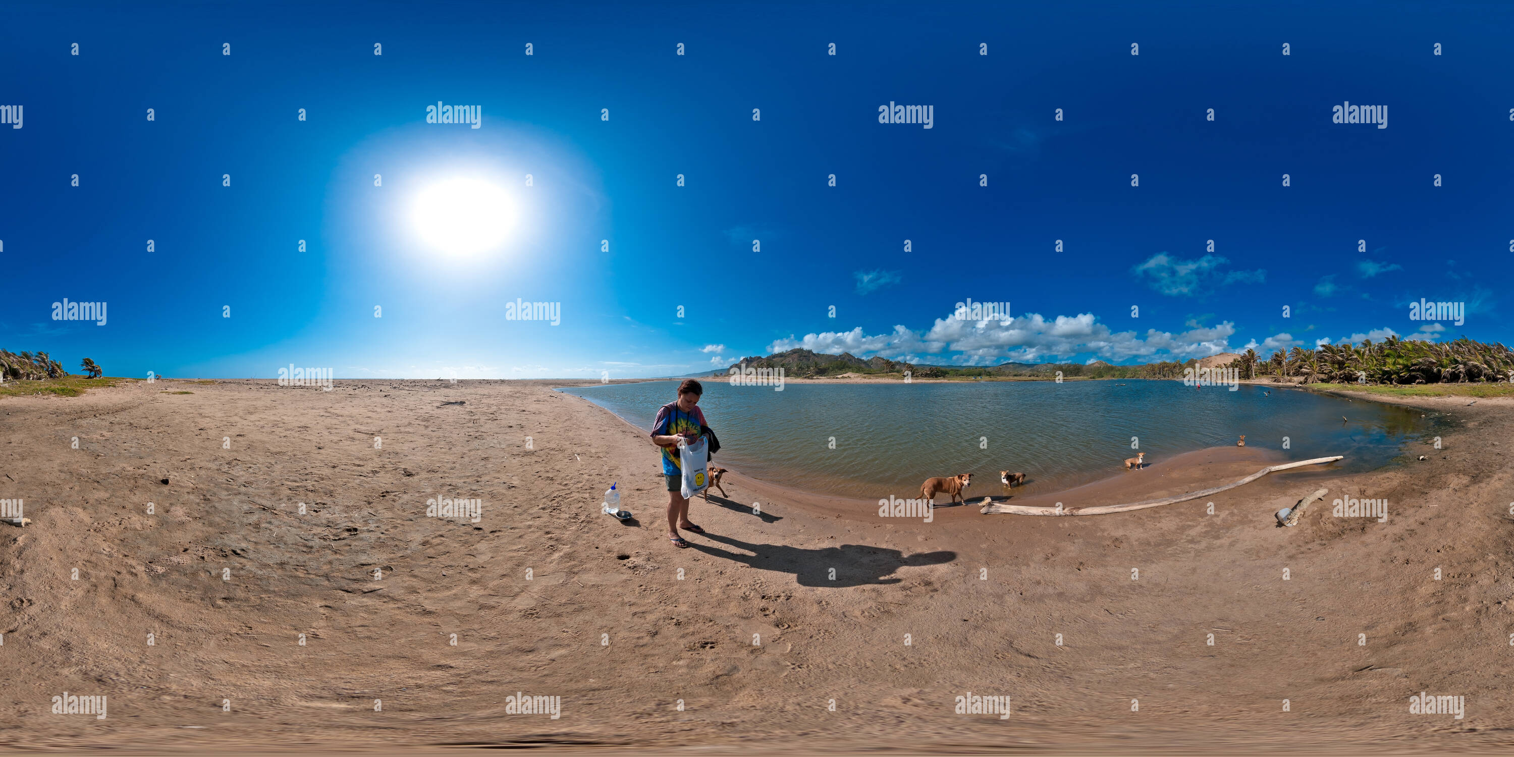 360° view of Long Pond - dogs and a fisherman - Alamy