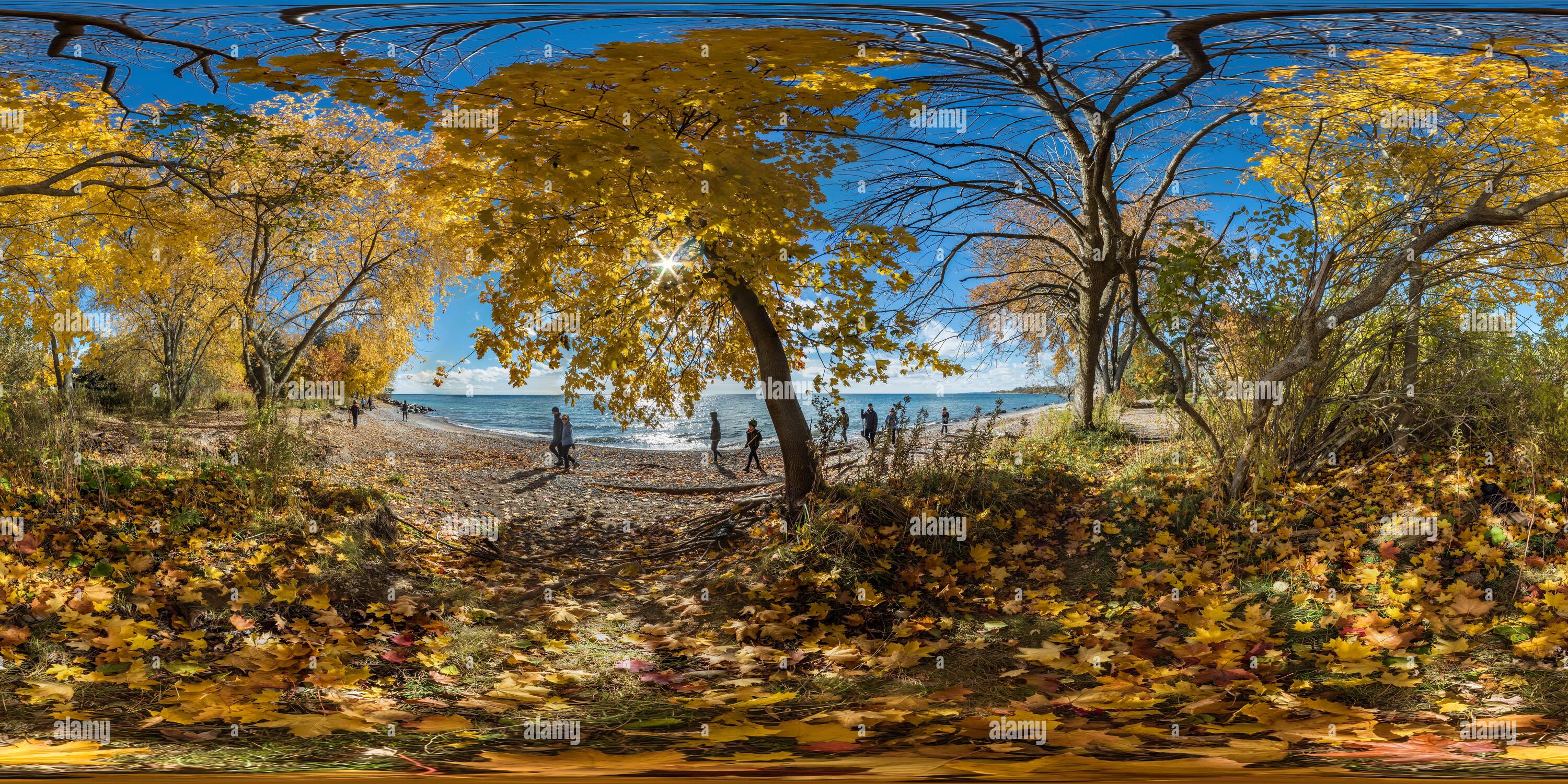 360° view of Golden November Sunday at Paradise Beach (Pickering Beach ...