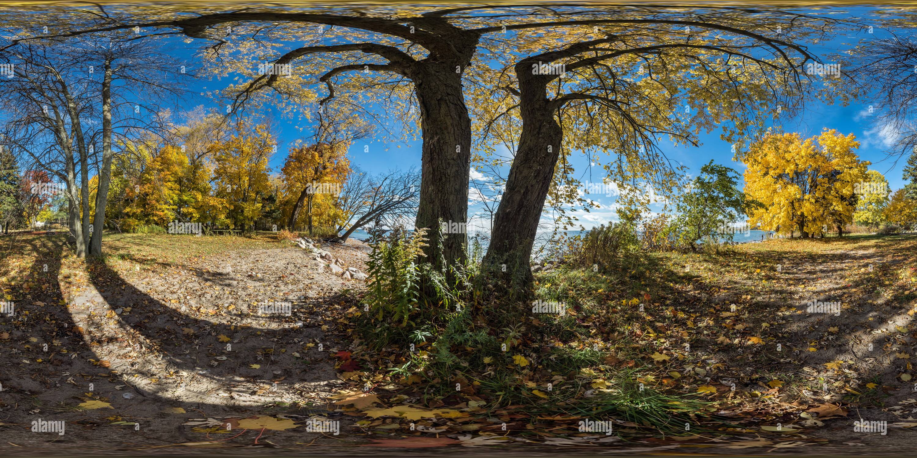 360° view of Golden November Sunday II at Paradise Beach (Pickering ...