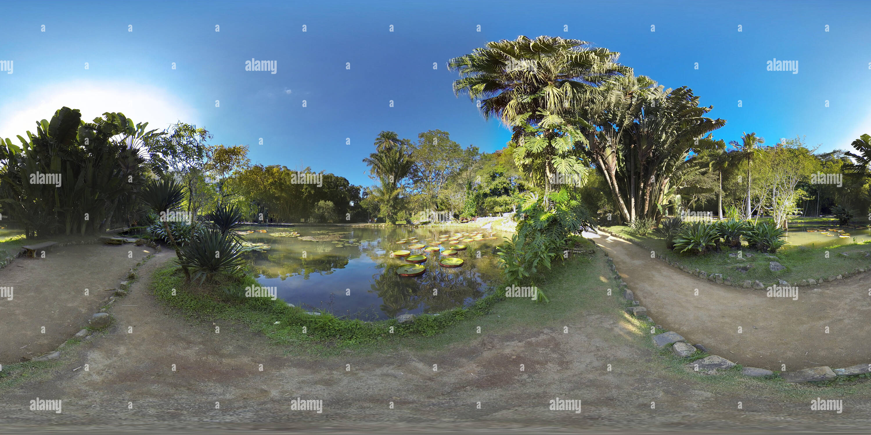 360° view of Pond in Botanical Garden or Jardim Botanico, Rio de ...