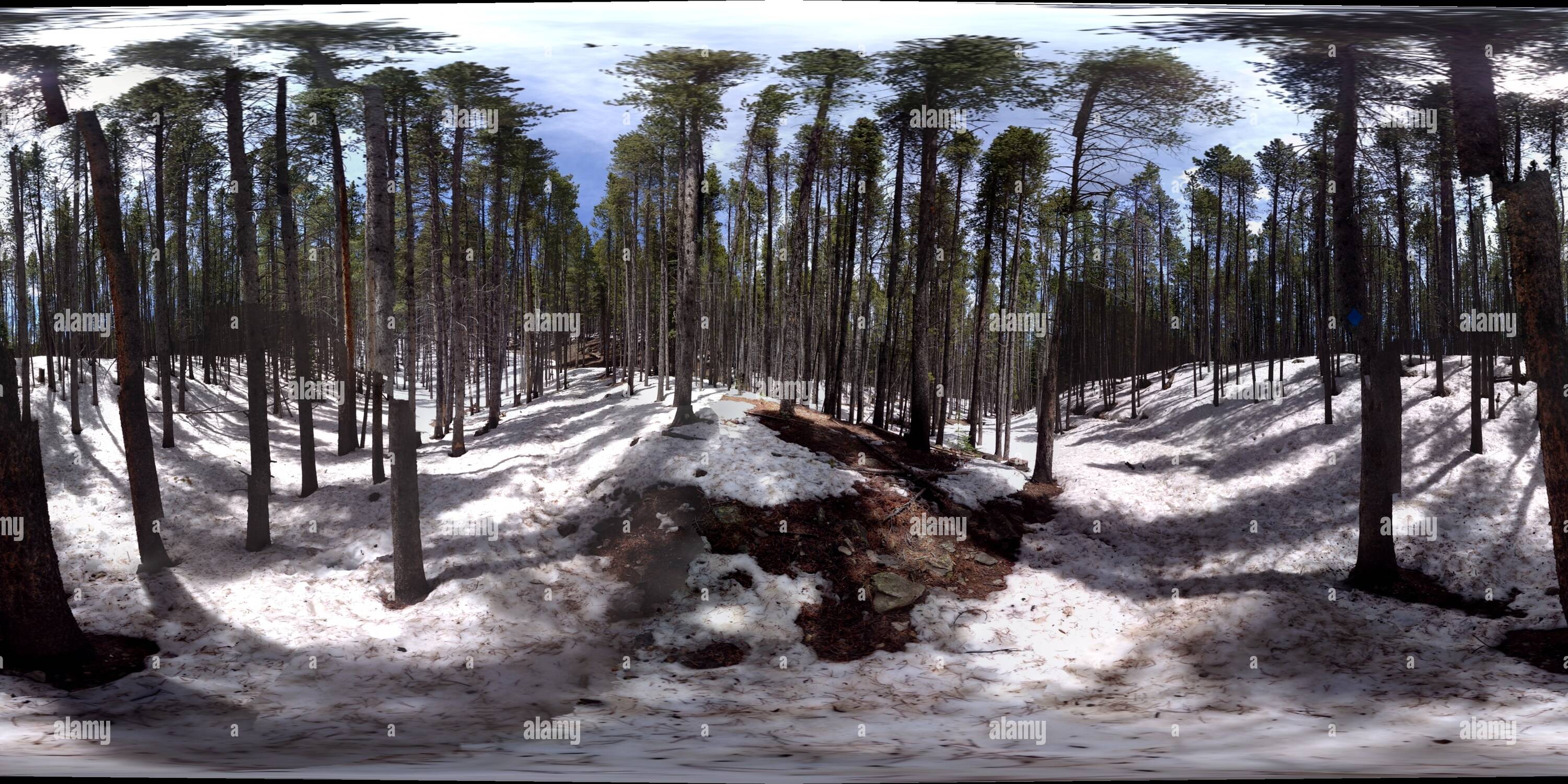 360° view of Peaks Trail in Spring, Breckenridge, Colorado - Alamy