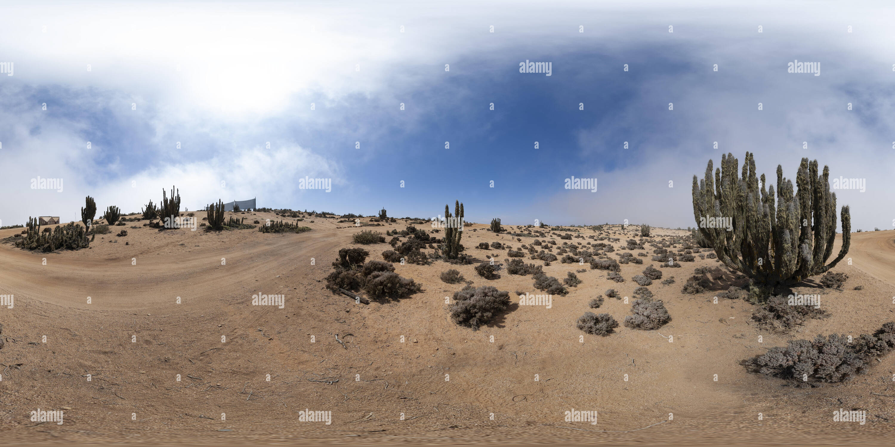360° view of Parque Nacional Pan de Azucar, Chile - Alamy